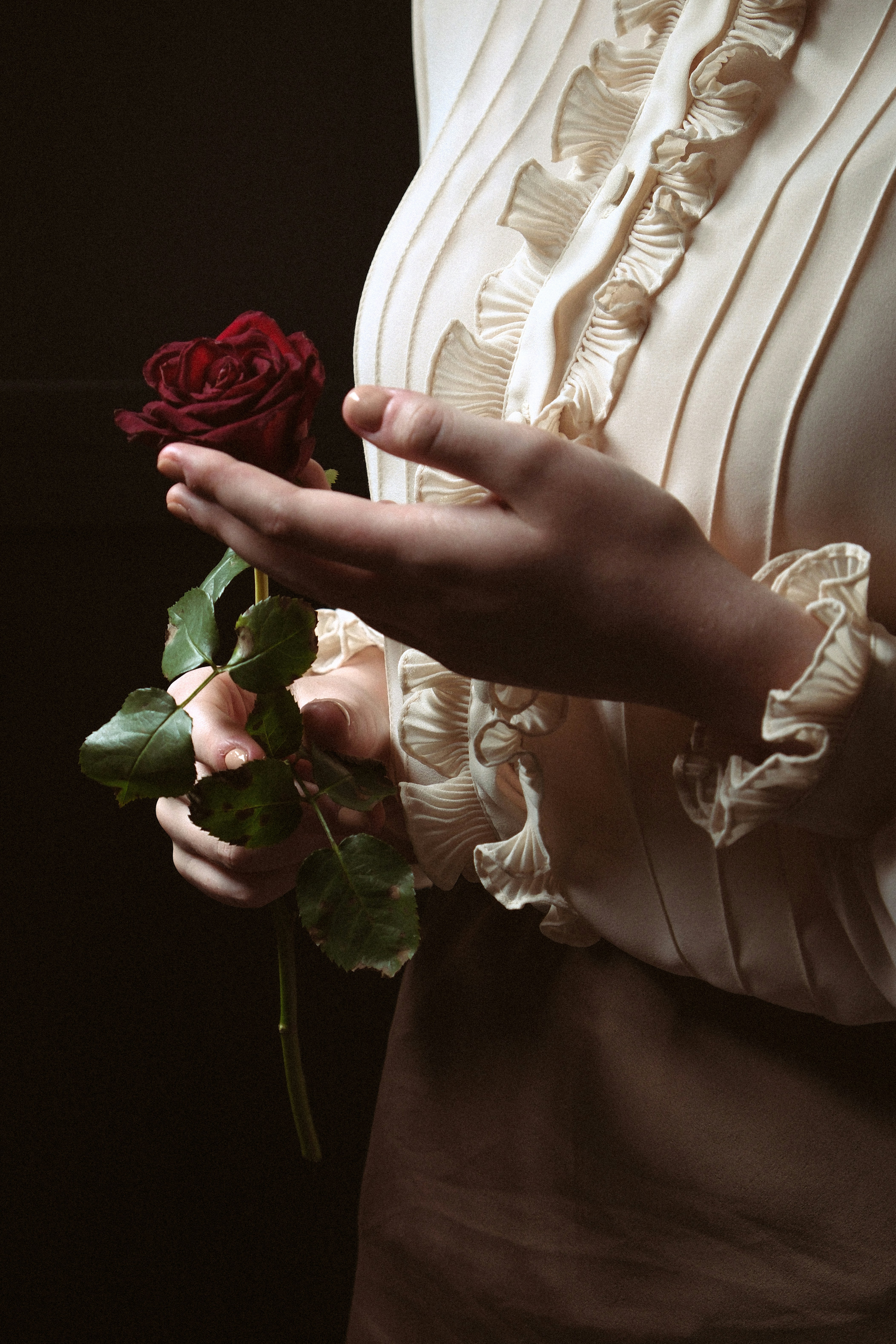 Crimson Rose Graced by Cream Ruffles