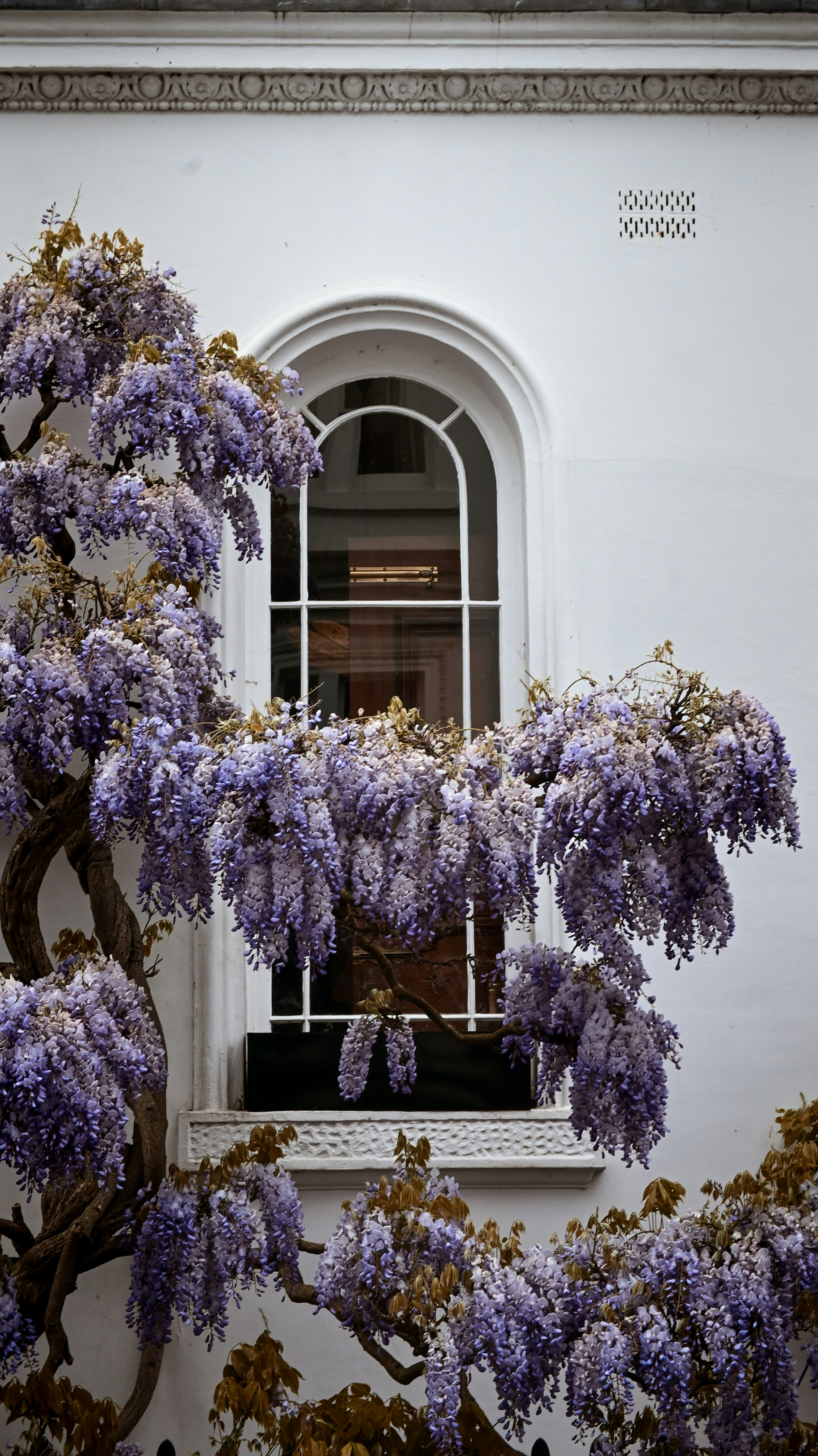 Photo by Nadiia Petrakova with Nikon Z50