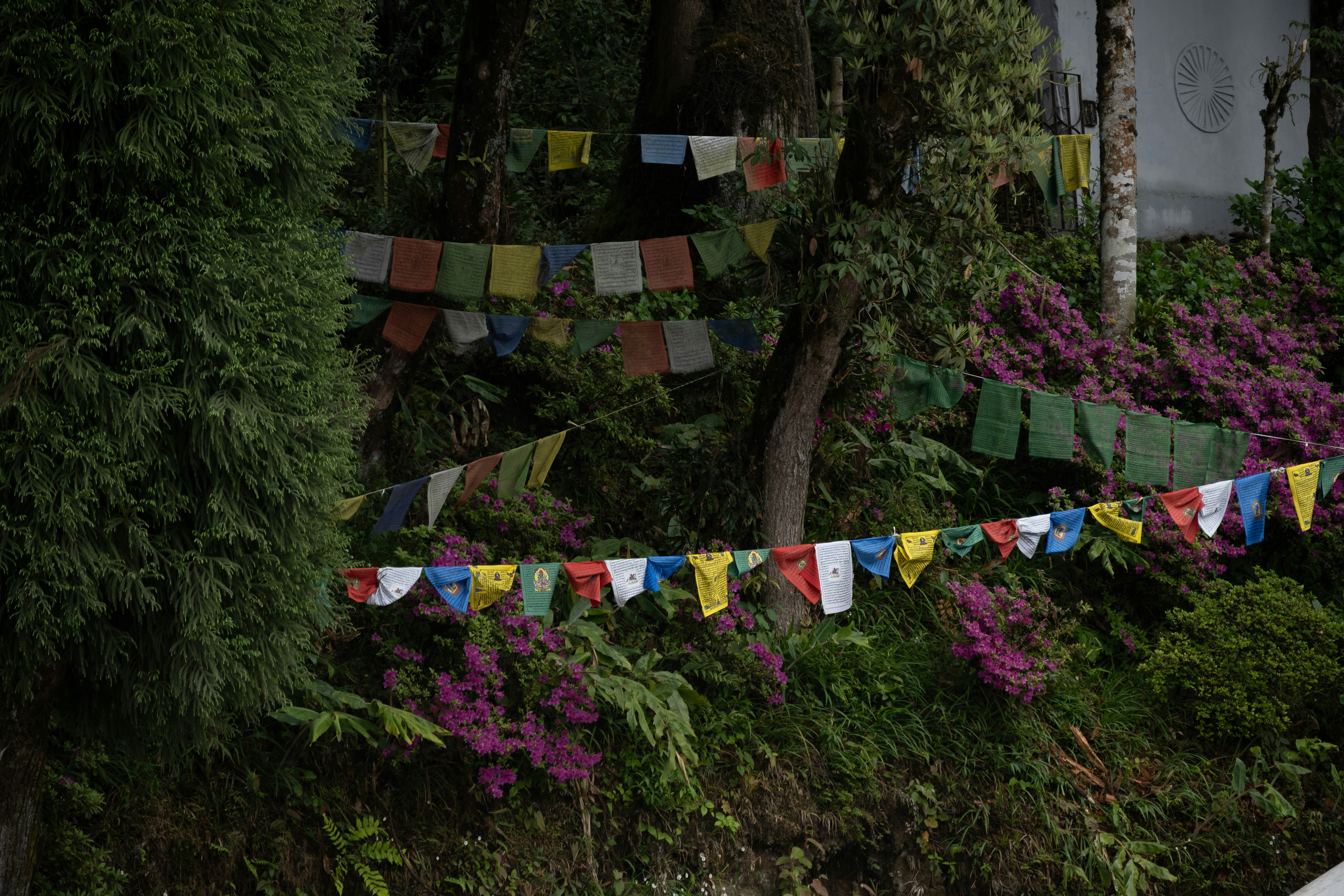 Colorful Prayer Flags Framing a Lush Garden Terrace