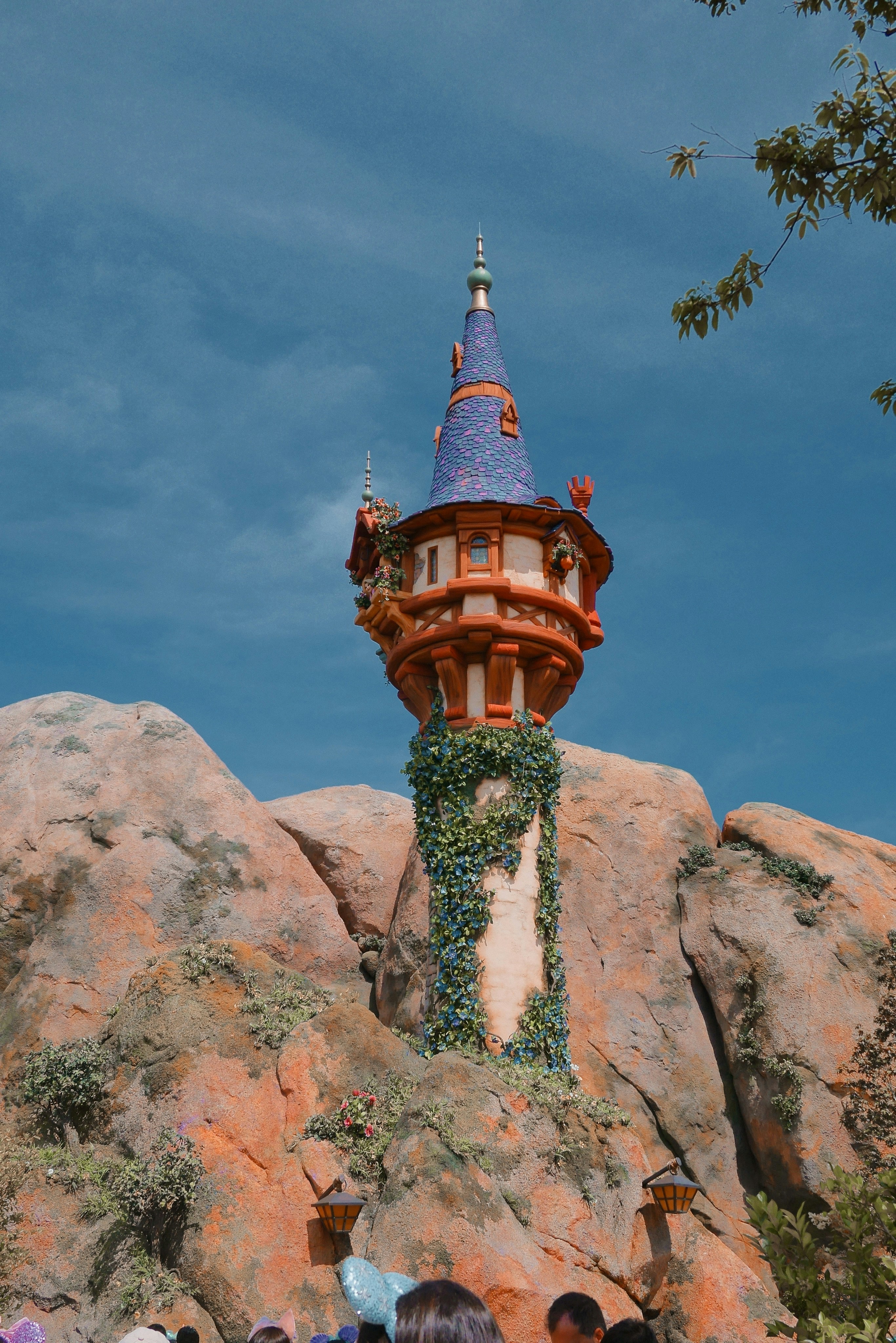 Photo by Bubba with Panasonic Lumix GX7