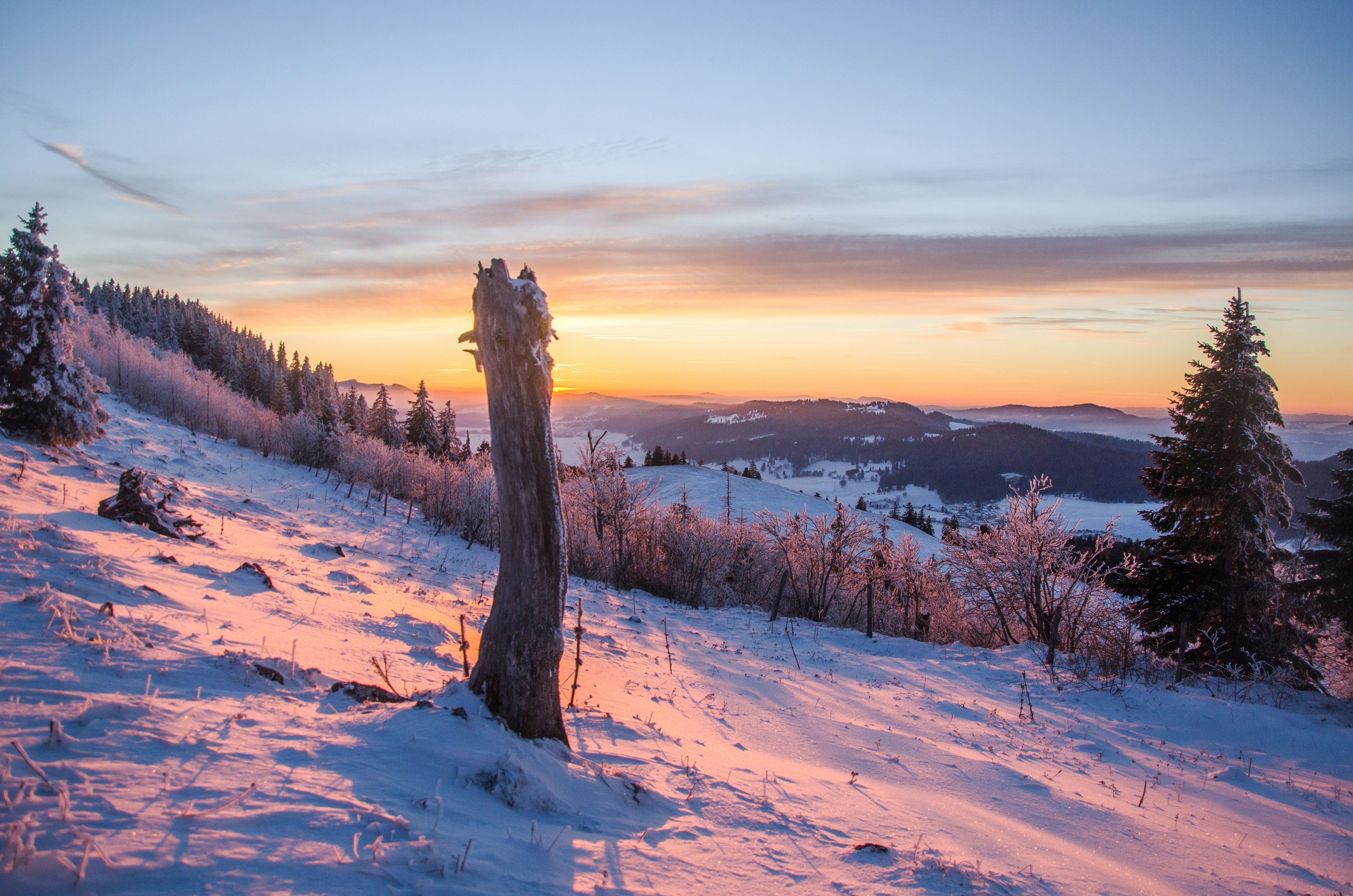 A snow covered hill with a tree stump in the foreground photo – Free La ...