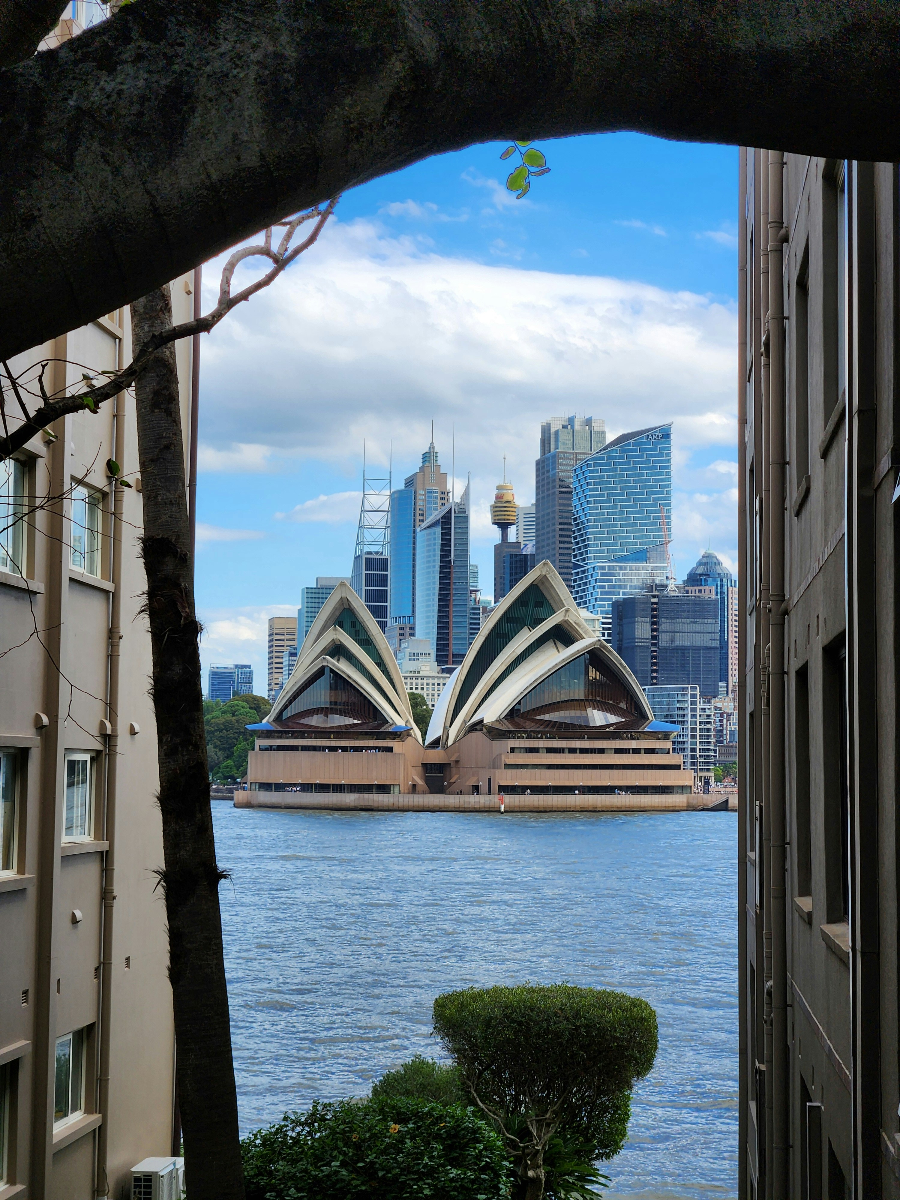 A view of the sydney opera house from across the water photo – Free ...