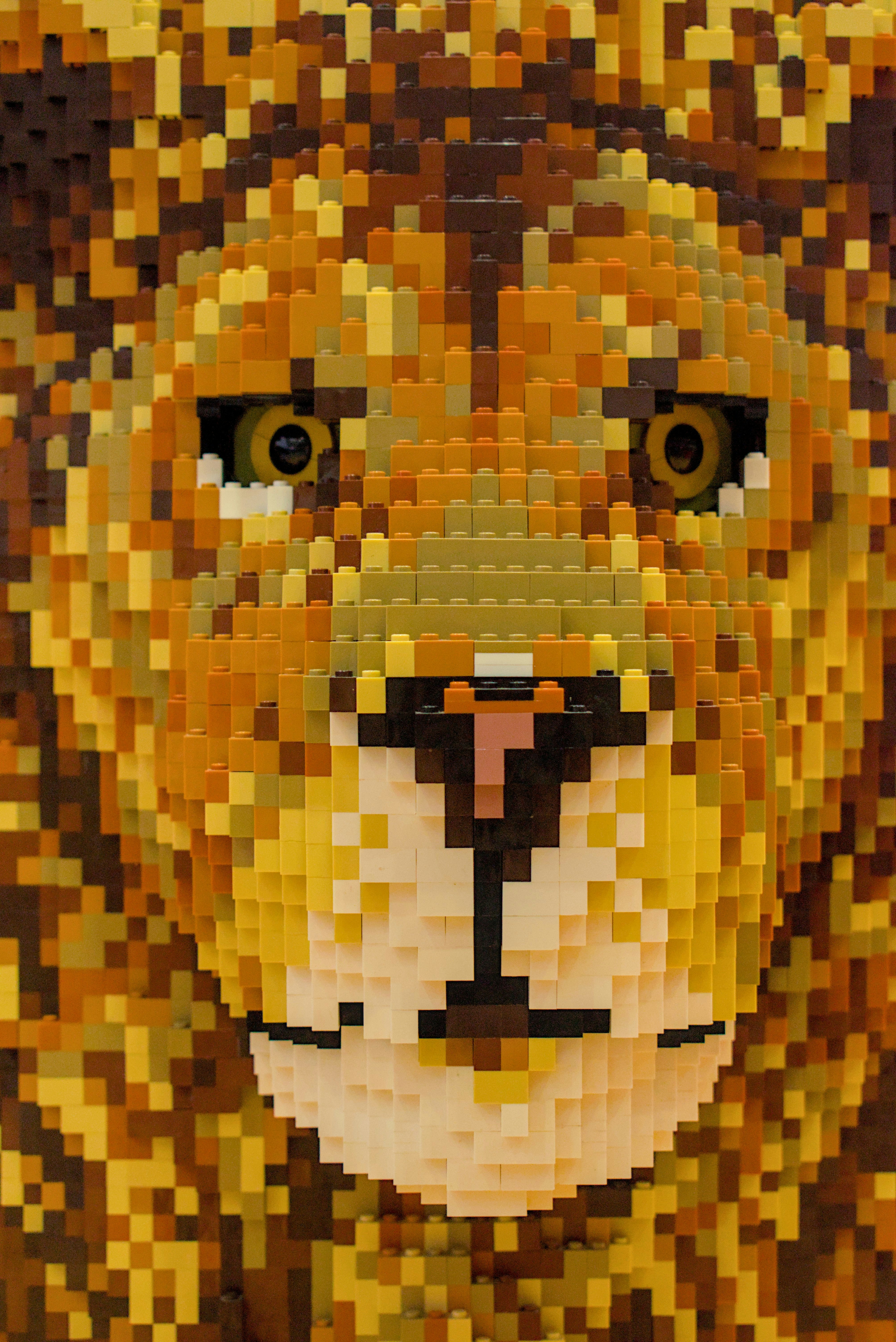 Brick Mosaic Tiger: A Close-Up Gaze Crafted from Tiny Blocks