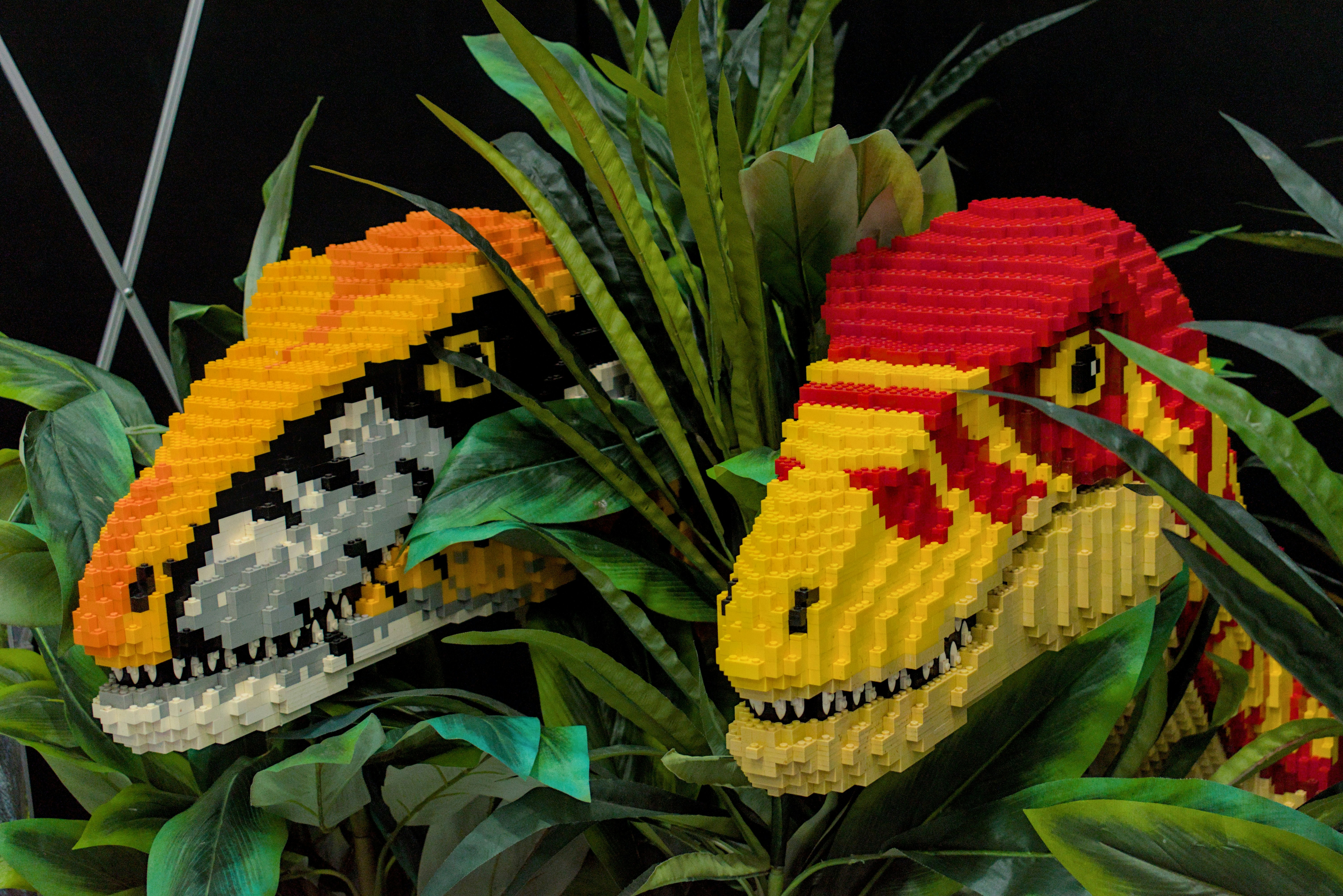 A close up of two lego dinosaurs in a plant photo – Free Flower Image ...