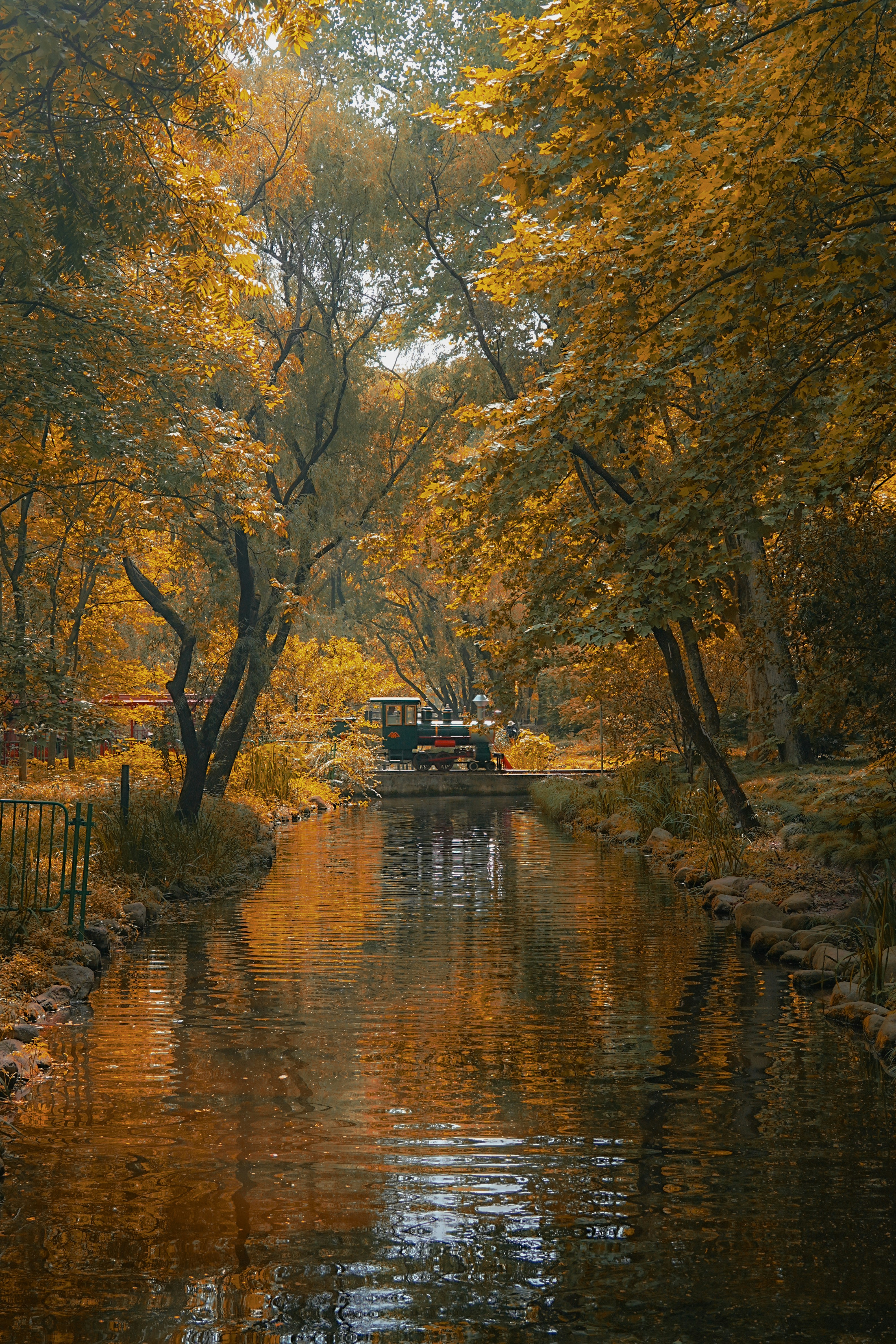 Photo by Hat Trick with Sony Alpha 7C R