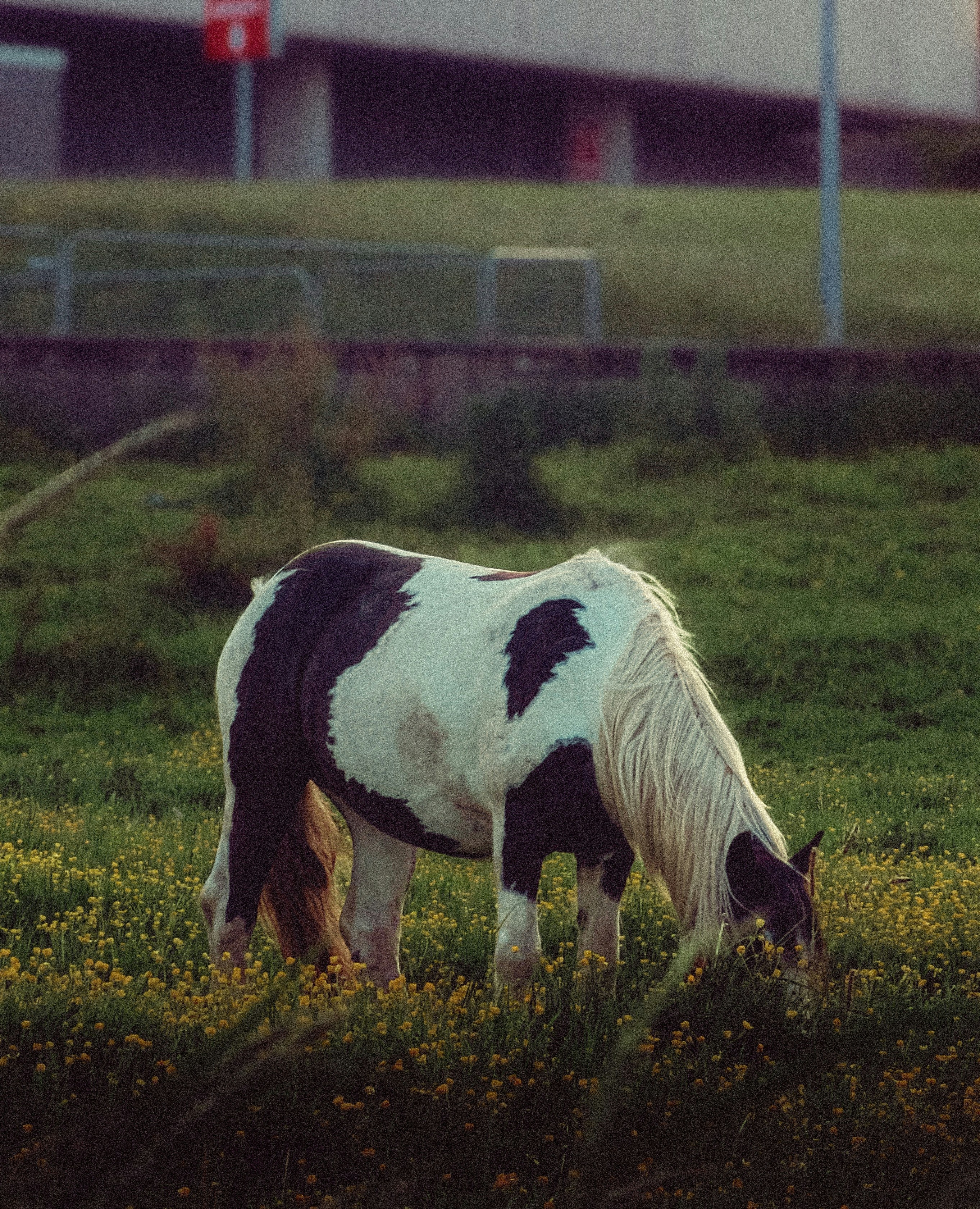 Zandex Studio (@zandex) | Unsplash Photo Community