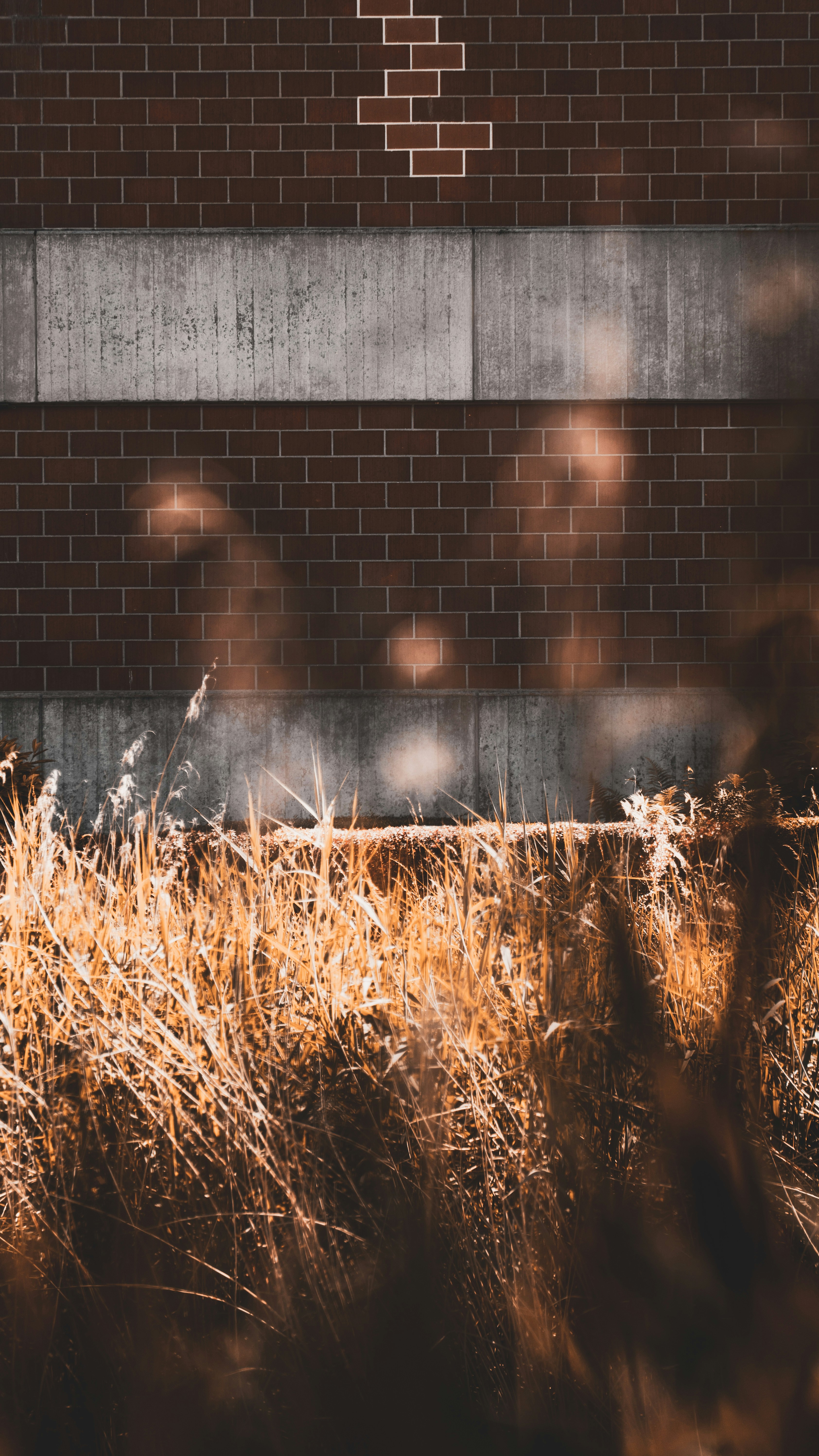 A red fire hydrant sitting next to a brick wall photo – Free Wall Image ...