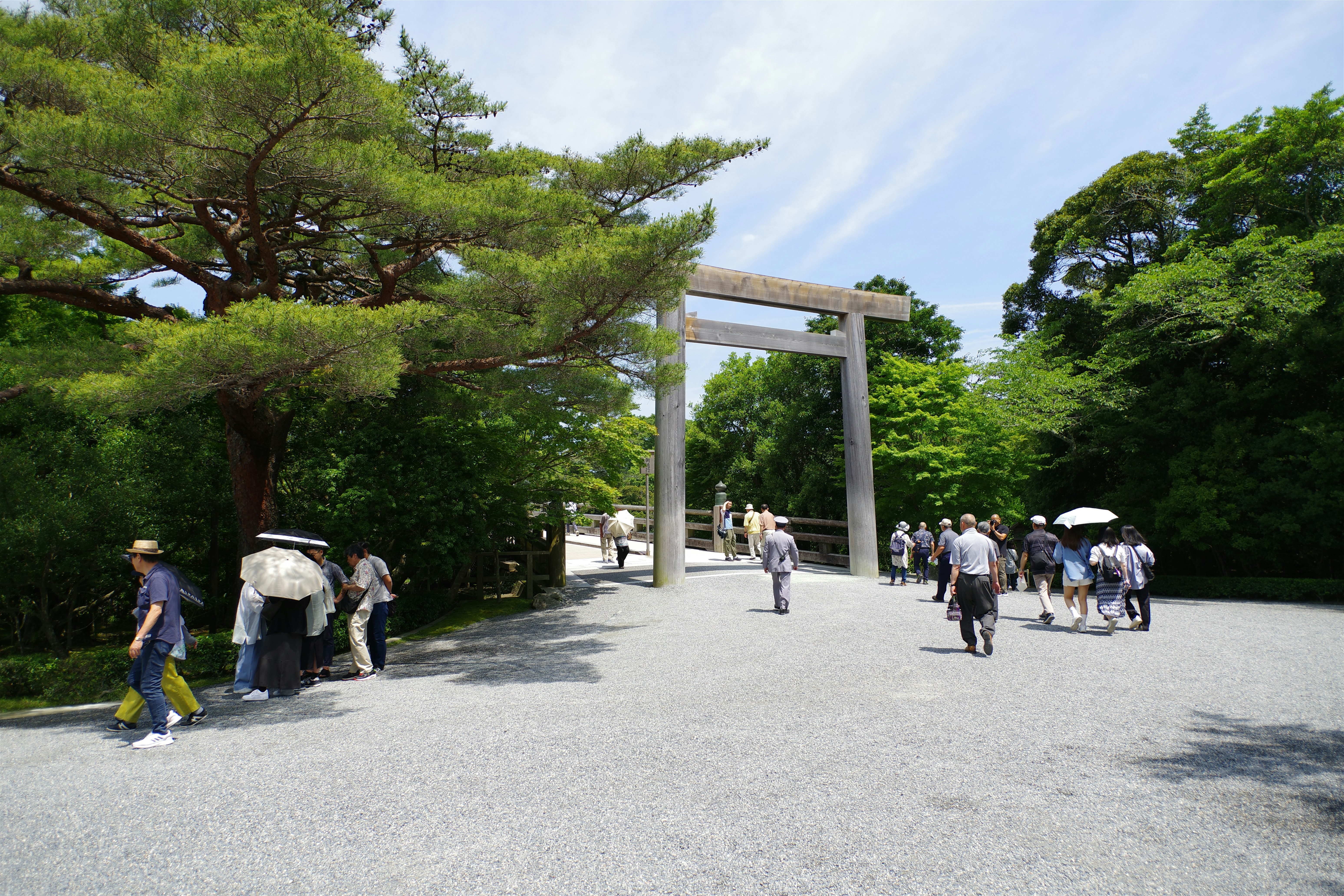 Visitors walk along a gravel approach toward a traditional torii gate at a Shinto shrine, framed by pine trees on a bright, clear day.