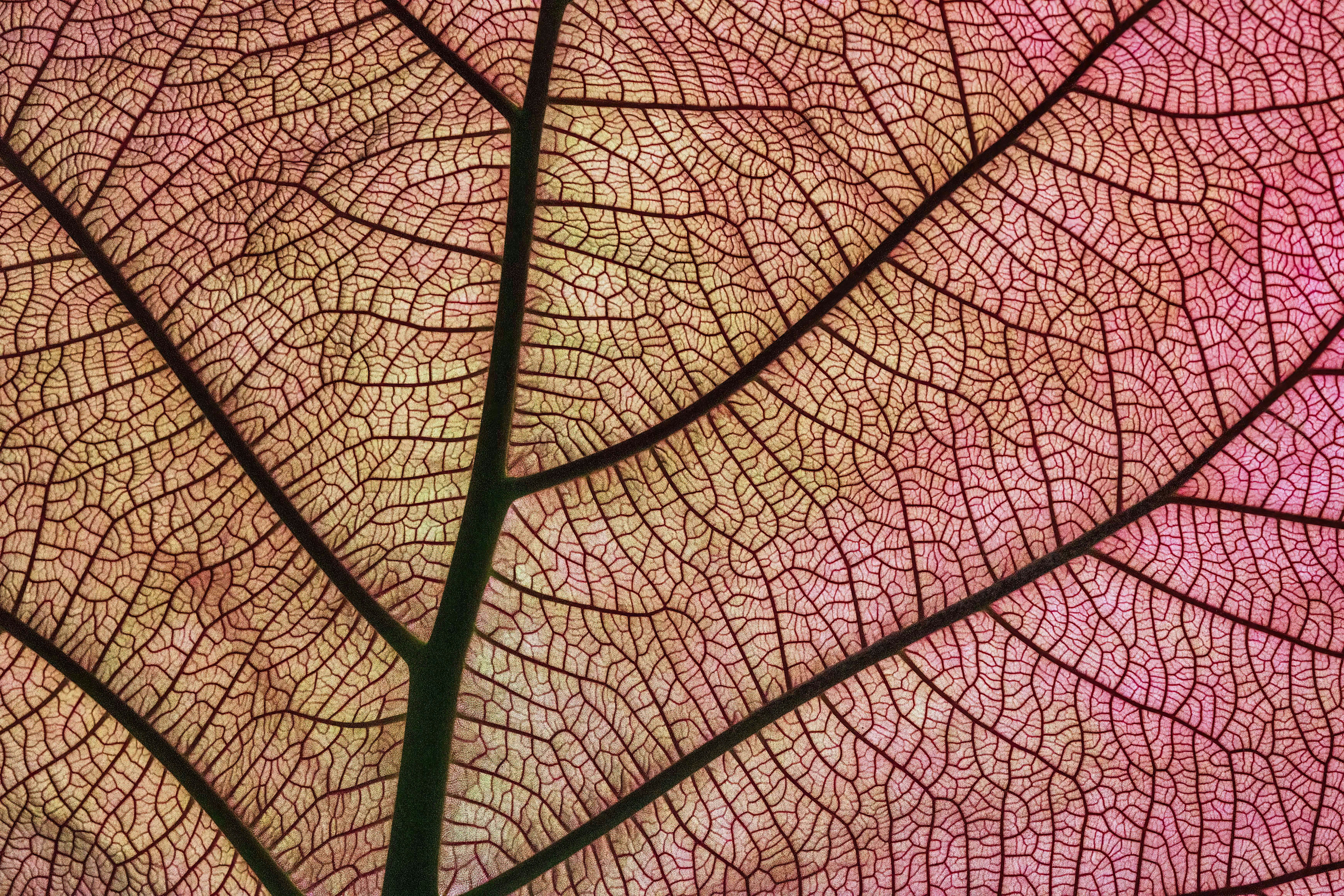 Free Collins avenue Image on Unsplash