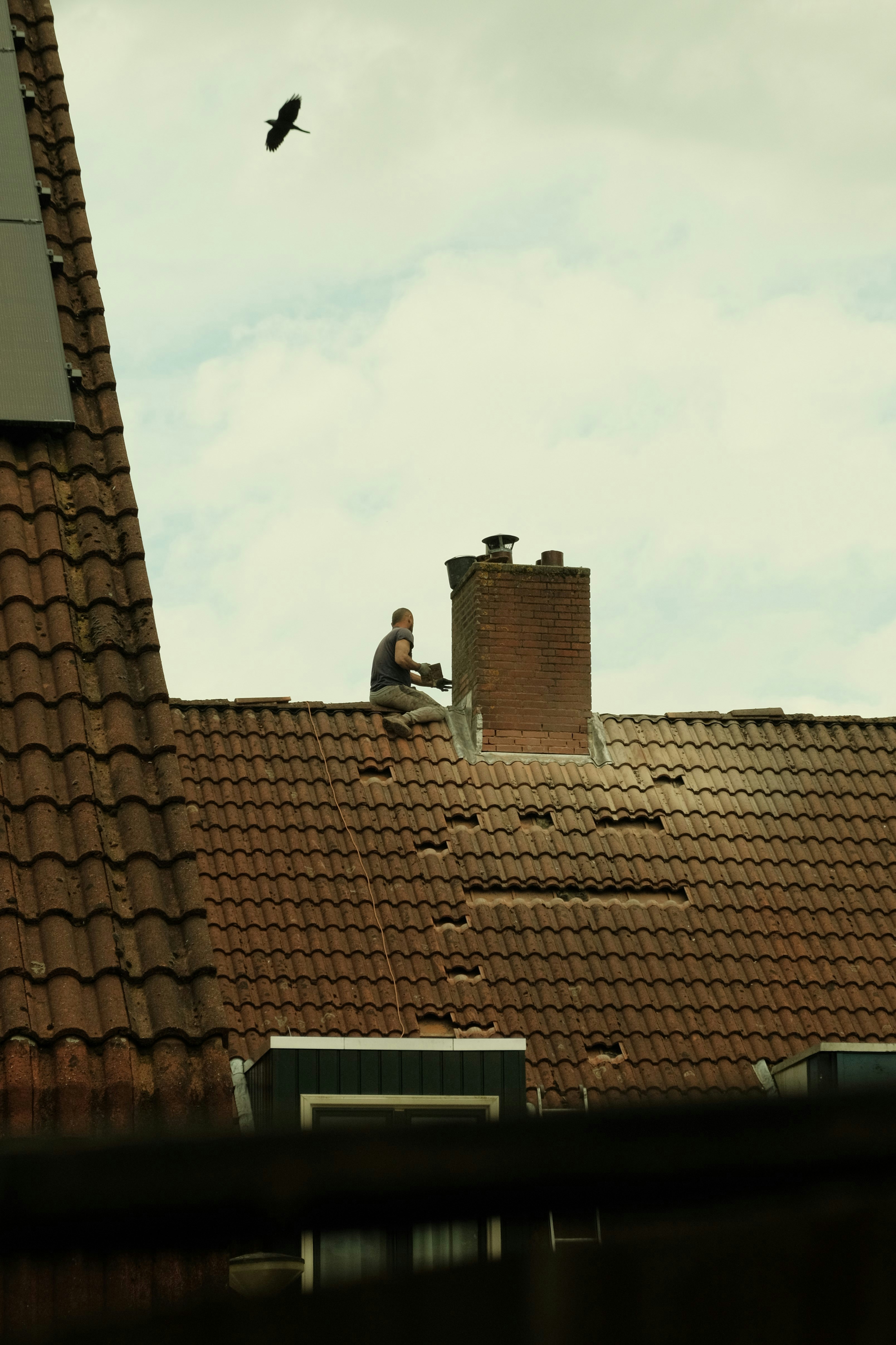 A man on a roof with a bird flying overhead photo – Free Sky Image on ...