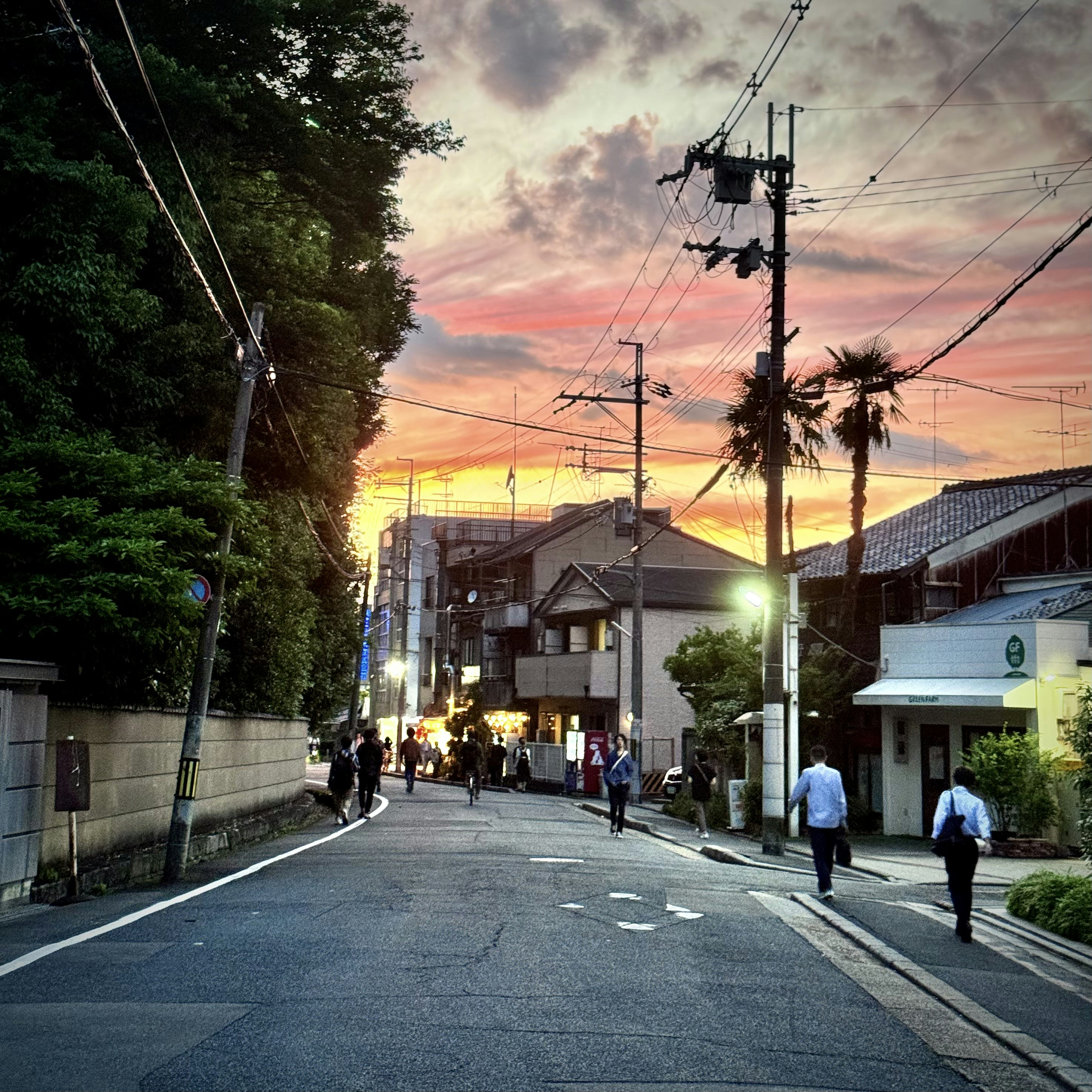 Twilight Street Crossing: Pedestrians under a Web of Wires