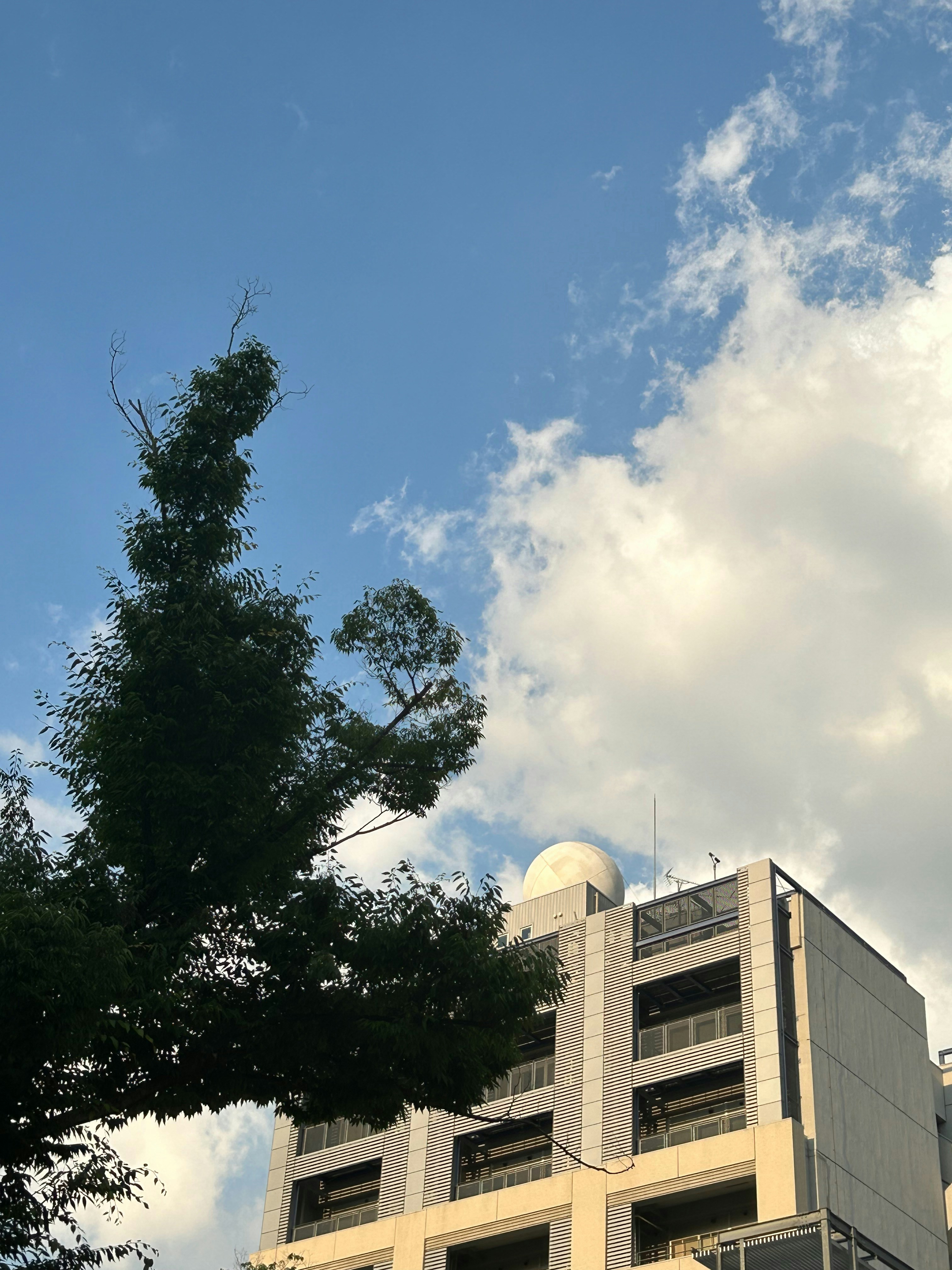 A tall building with a tree in front of it photo – Free Image on Unsplash
