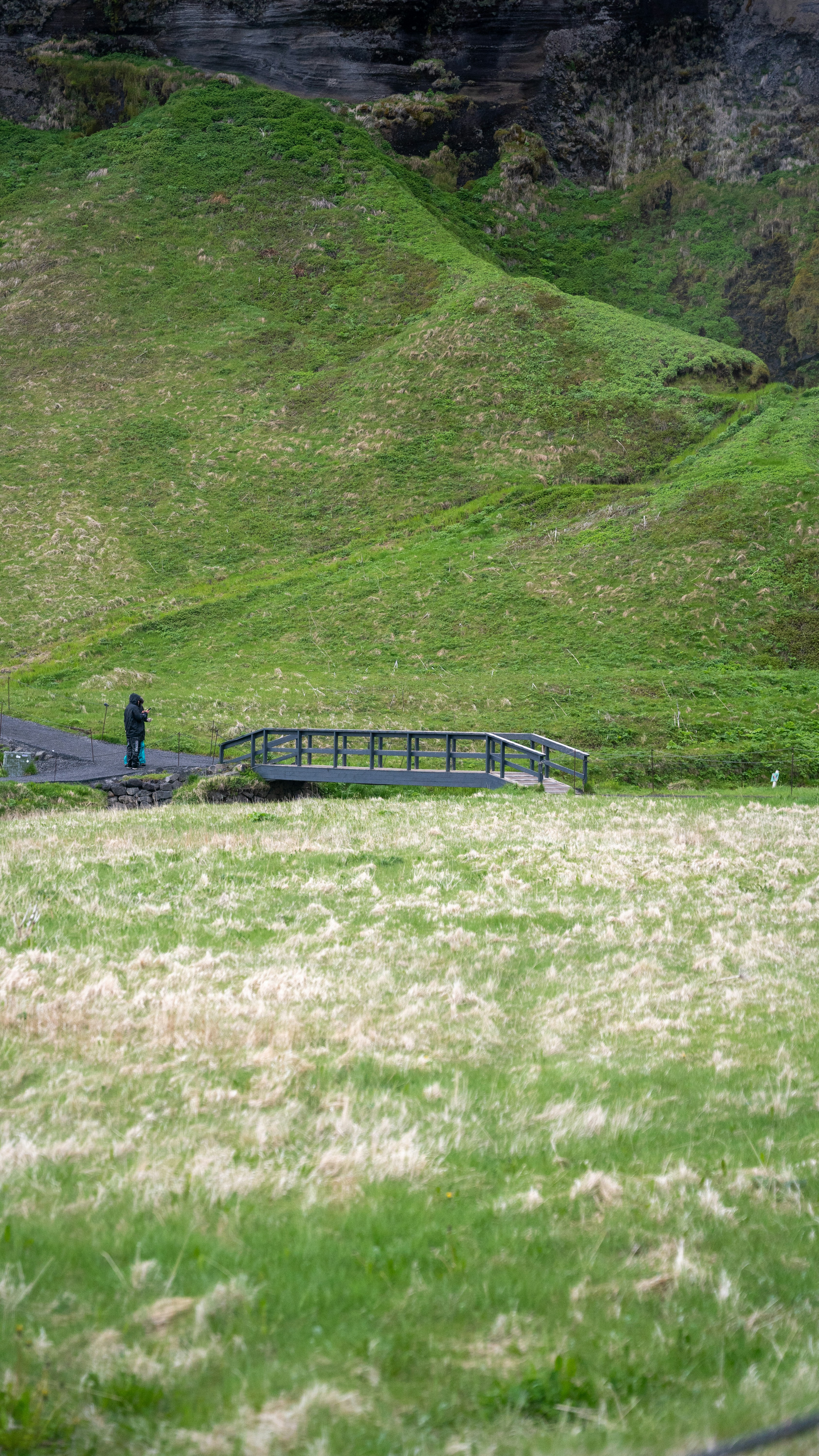 Emerald Valley Crossing: A Lone Hiker on a Quiet Bridge