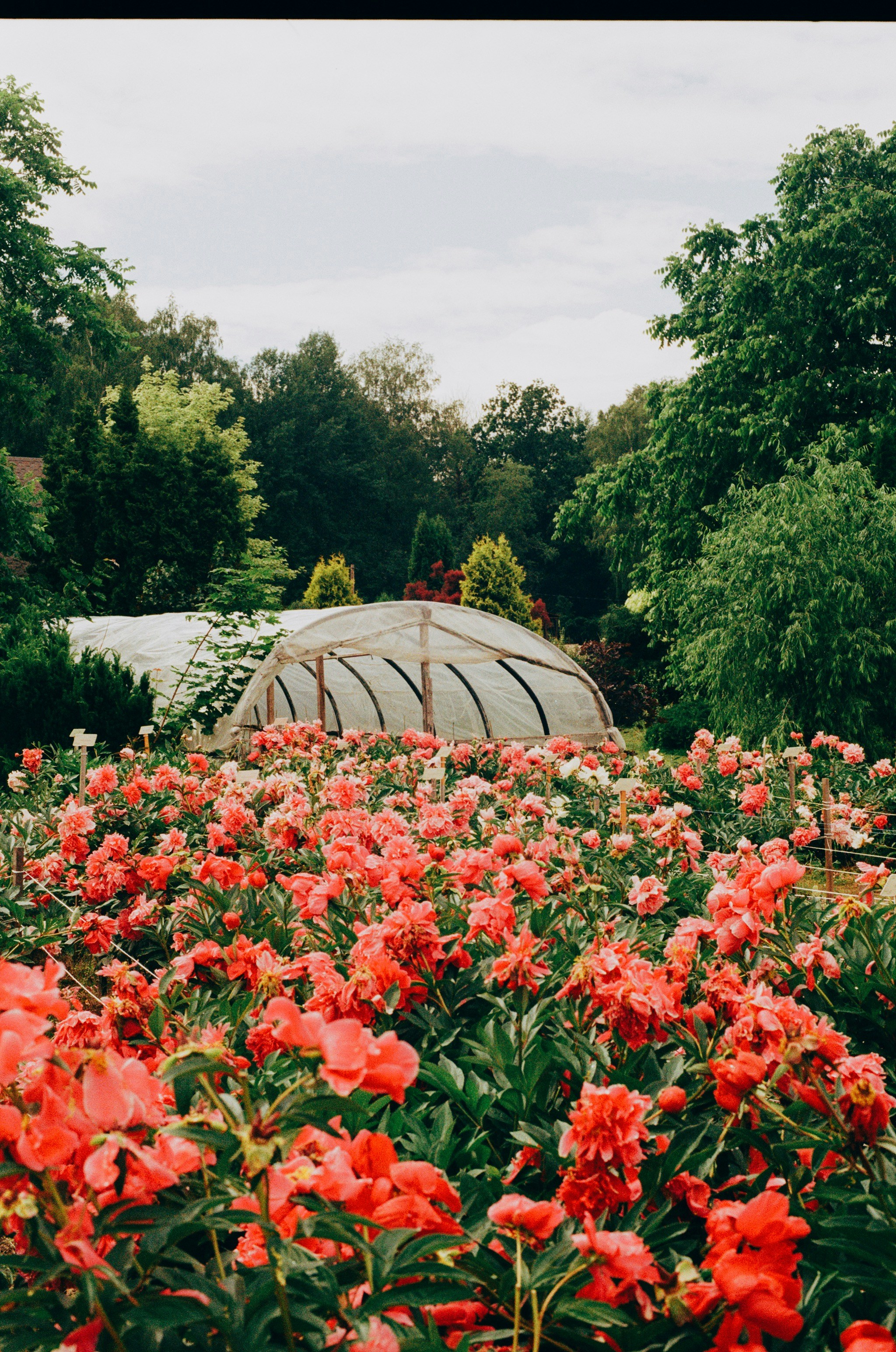 Photo by Olegs Jonins with Canon A-1