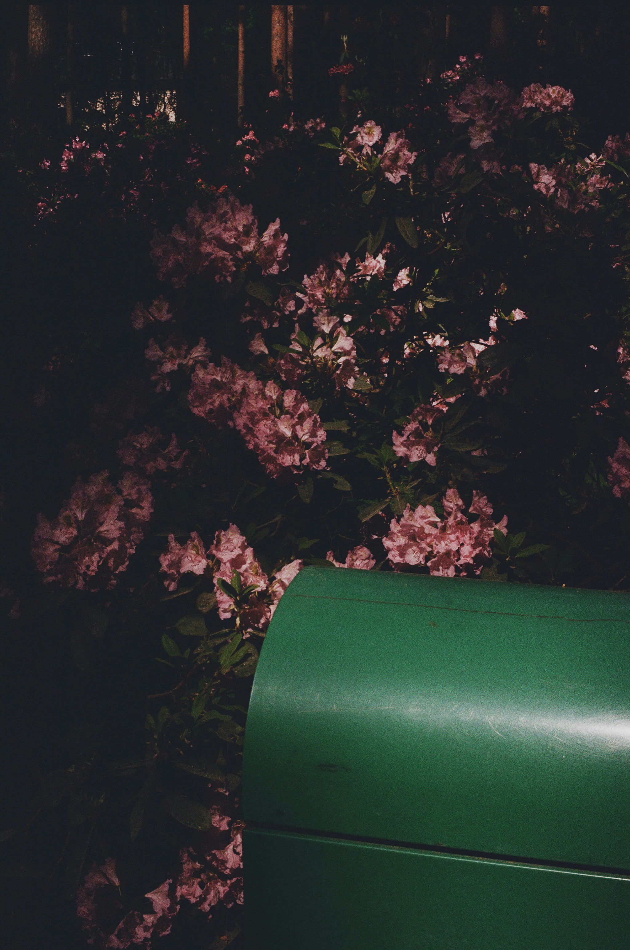 Photo by Olegs Jonins with Canon A-1