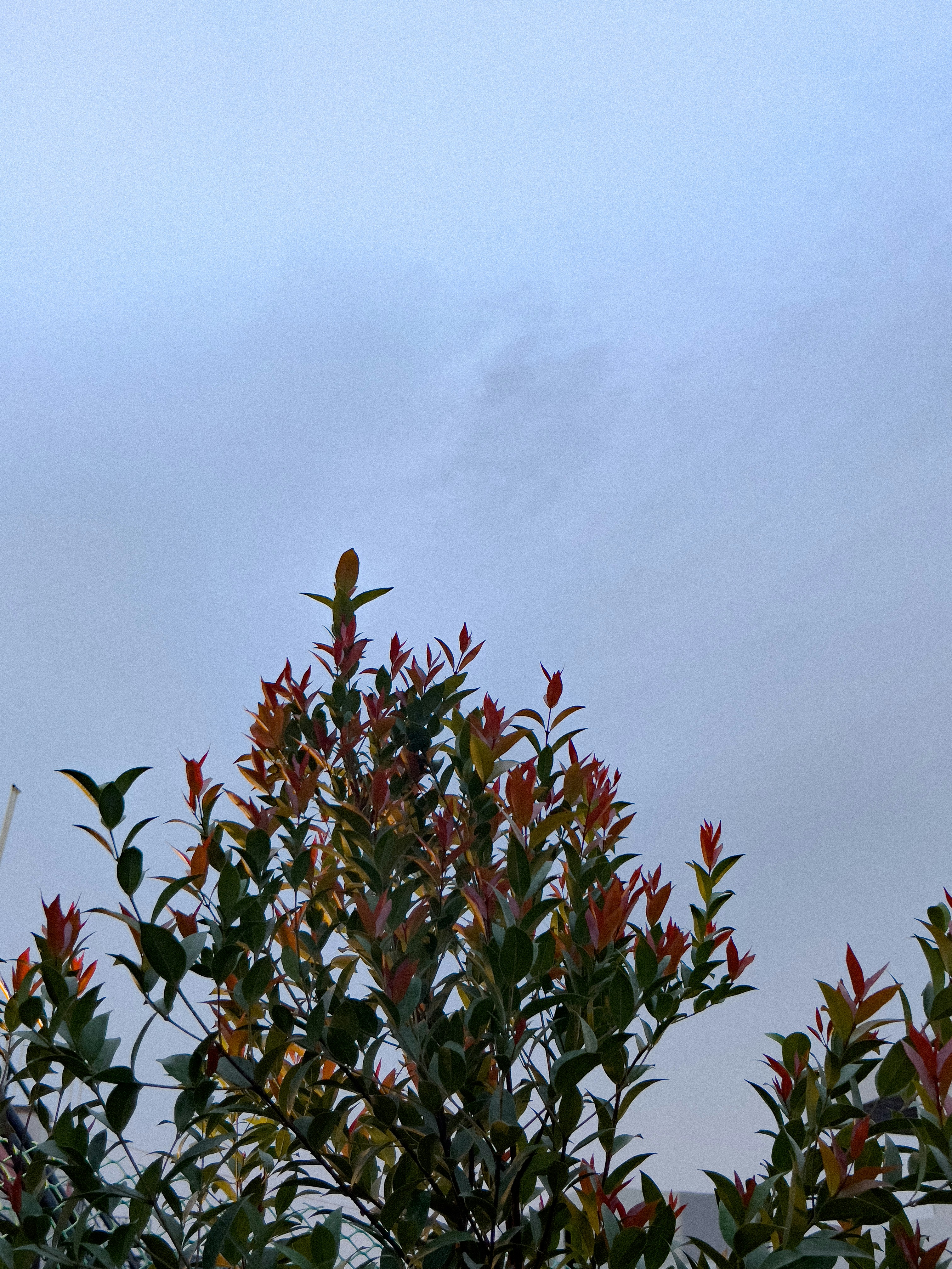 Photo by Kiaan Dontham ! with Apple iPhone 13 Pro