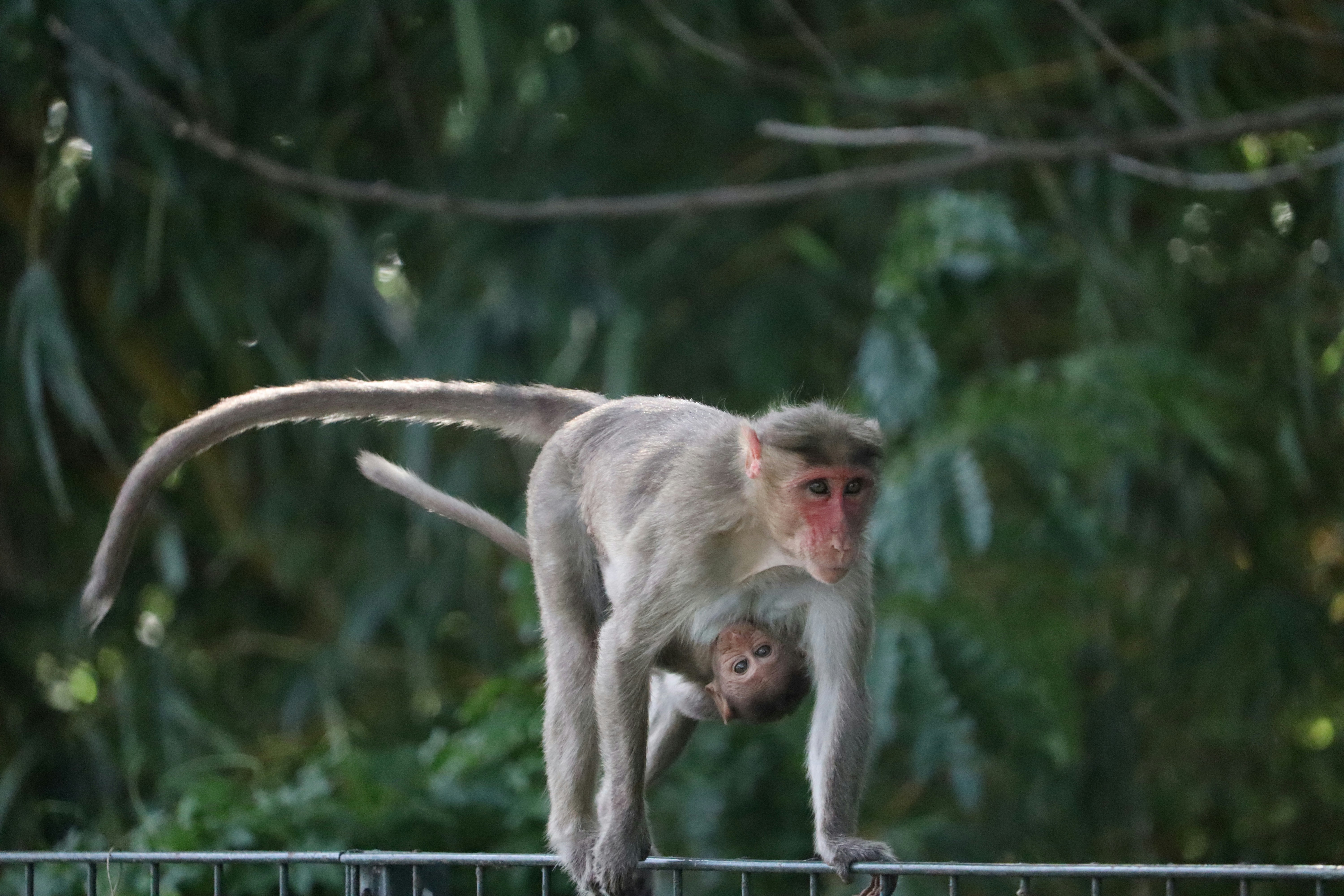 prathap karaka (@prathap_karaka) | Unsplash 사진 커뮤니티