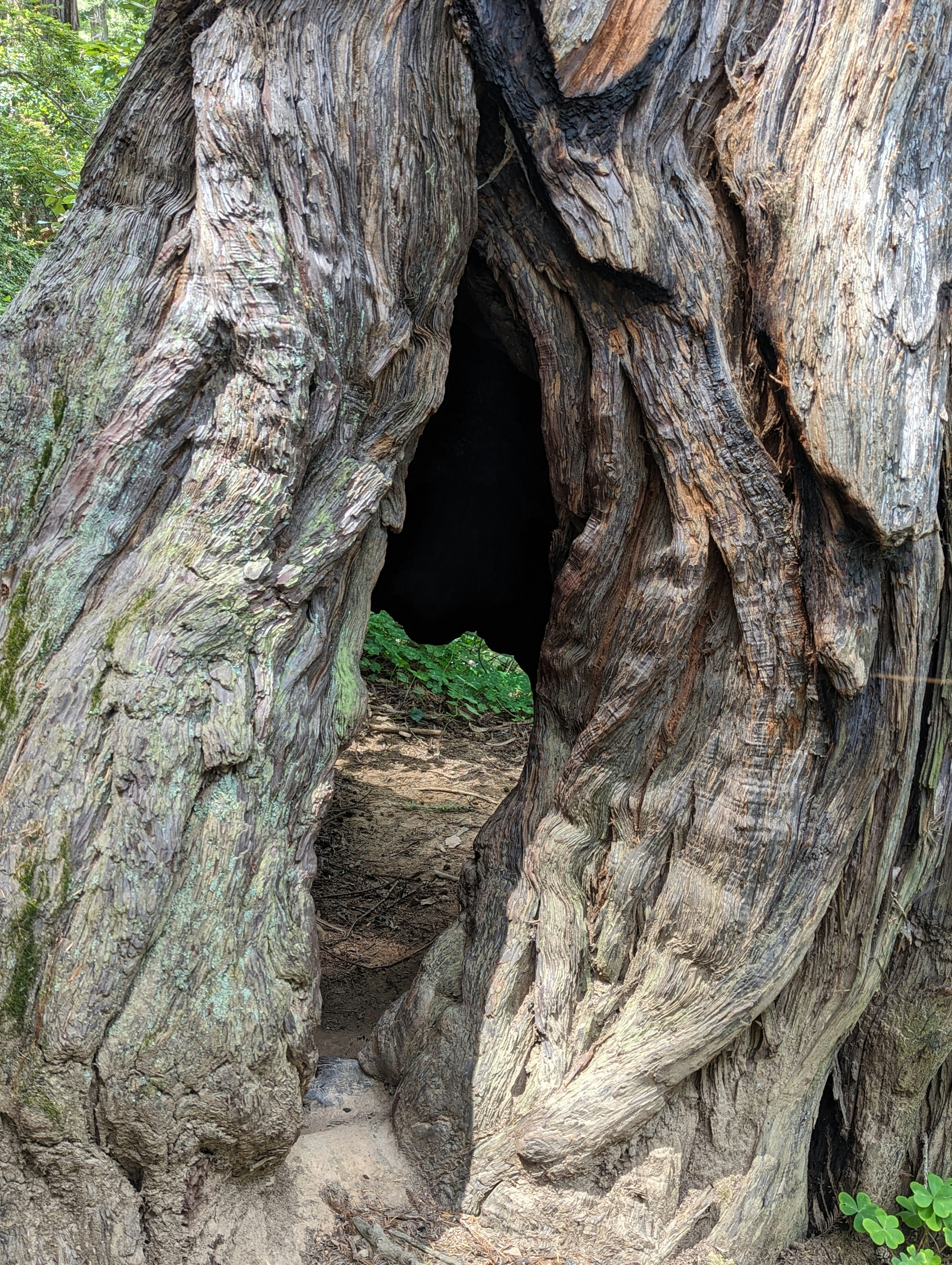 Photo by Chad Jones with Google Pixel 6 Pro