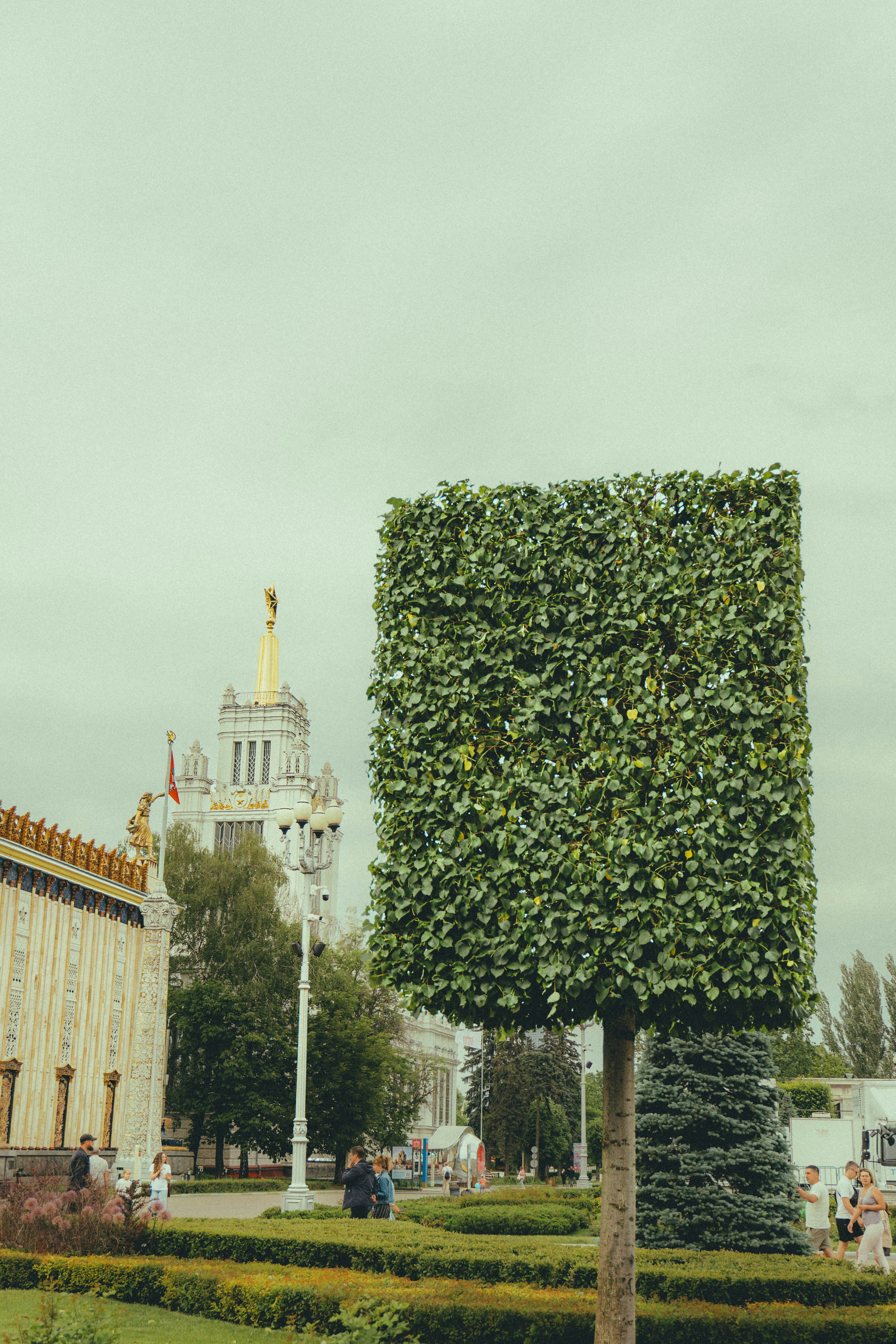 Square Tree at VDNKh, Moscow: A unique topiary art form in the heart of Russia's Exhibition of Achievements of National Economy, showcasing architectural beauty and greenery.