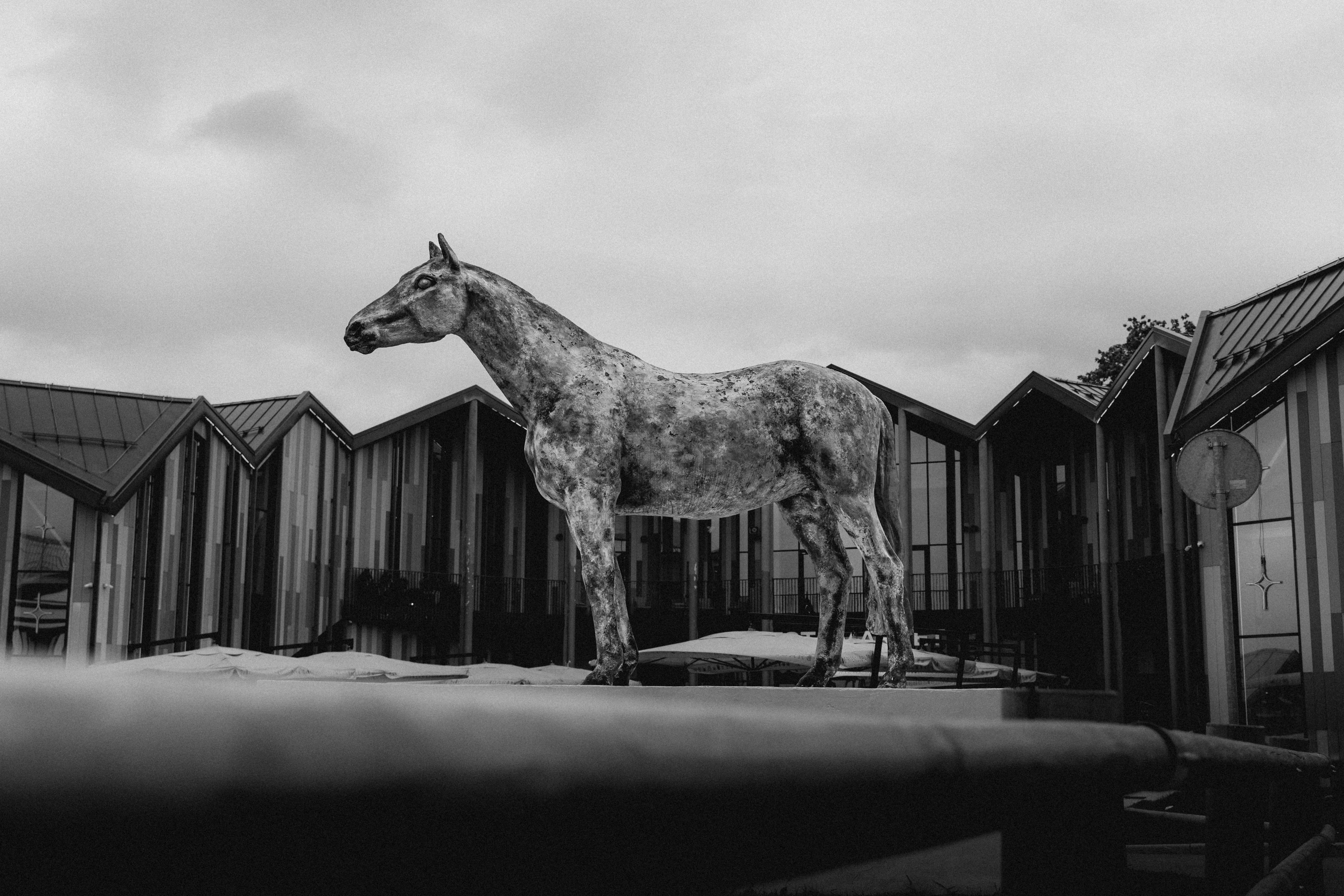 Equine Sentinel Among Glass-fronted Courtyard