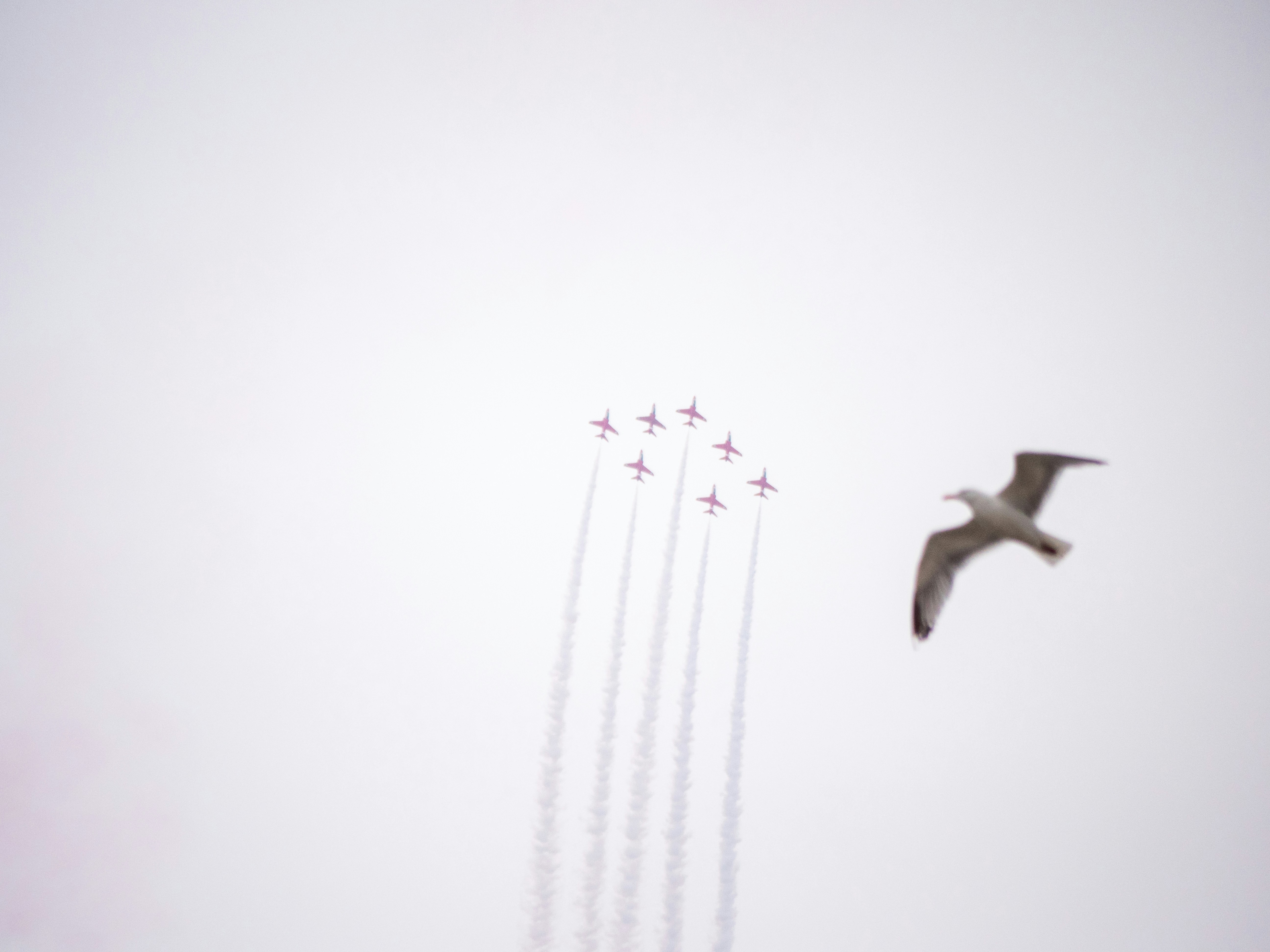 Skyline Squadron: Converging Trails of Color and Flight