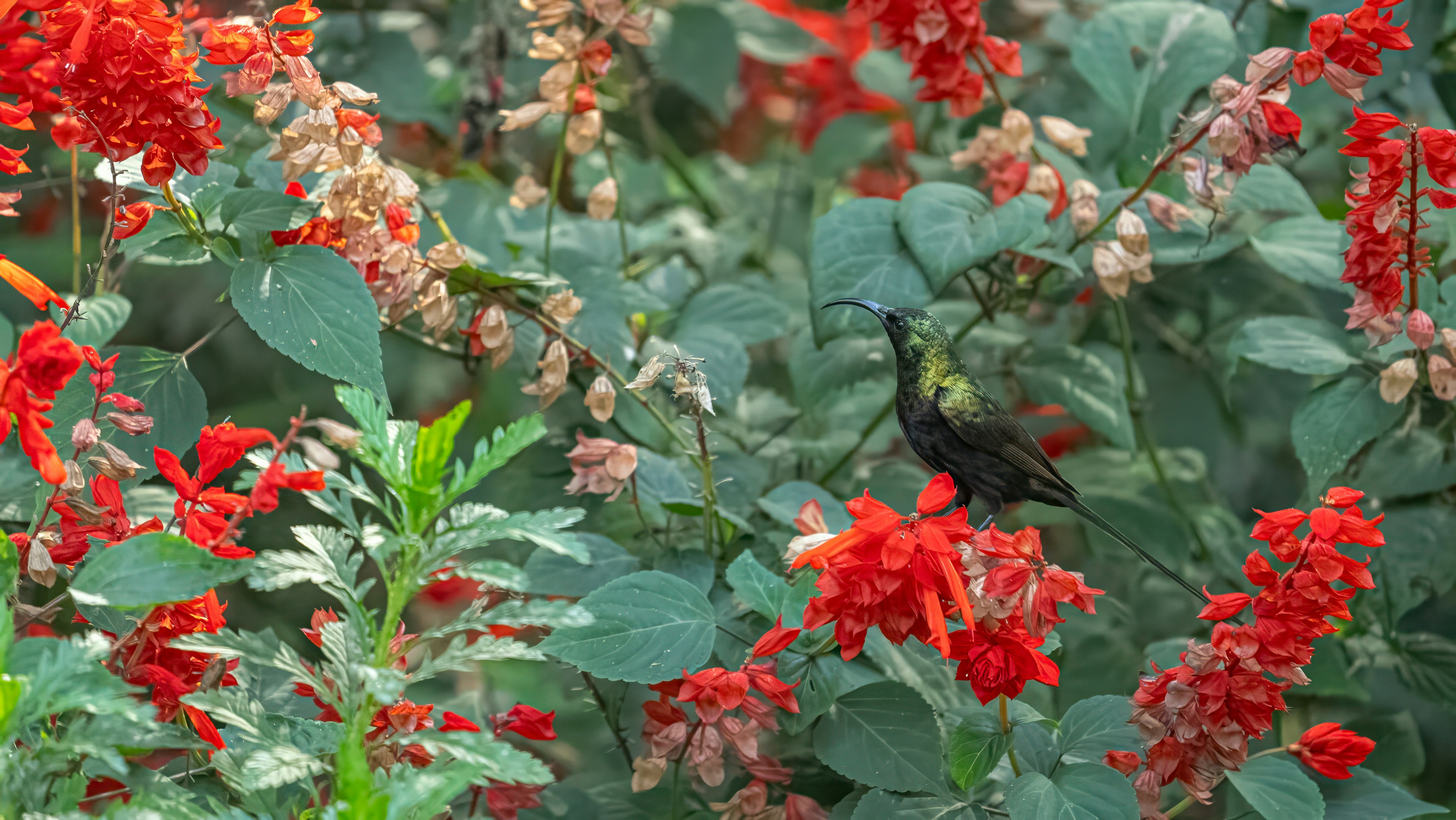 Photo by mana5280 with Sony Alpha 1