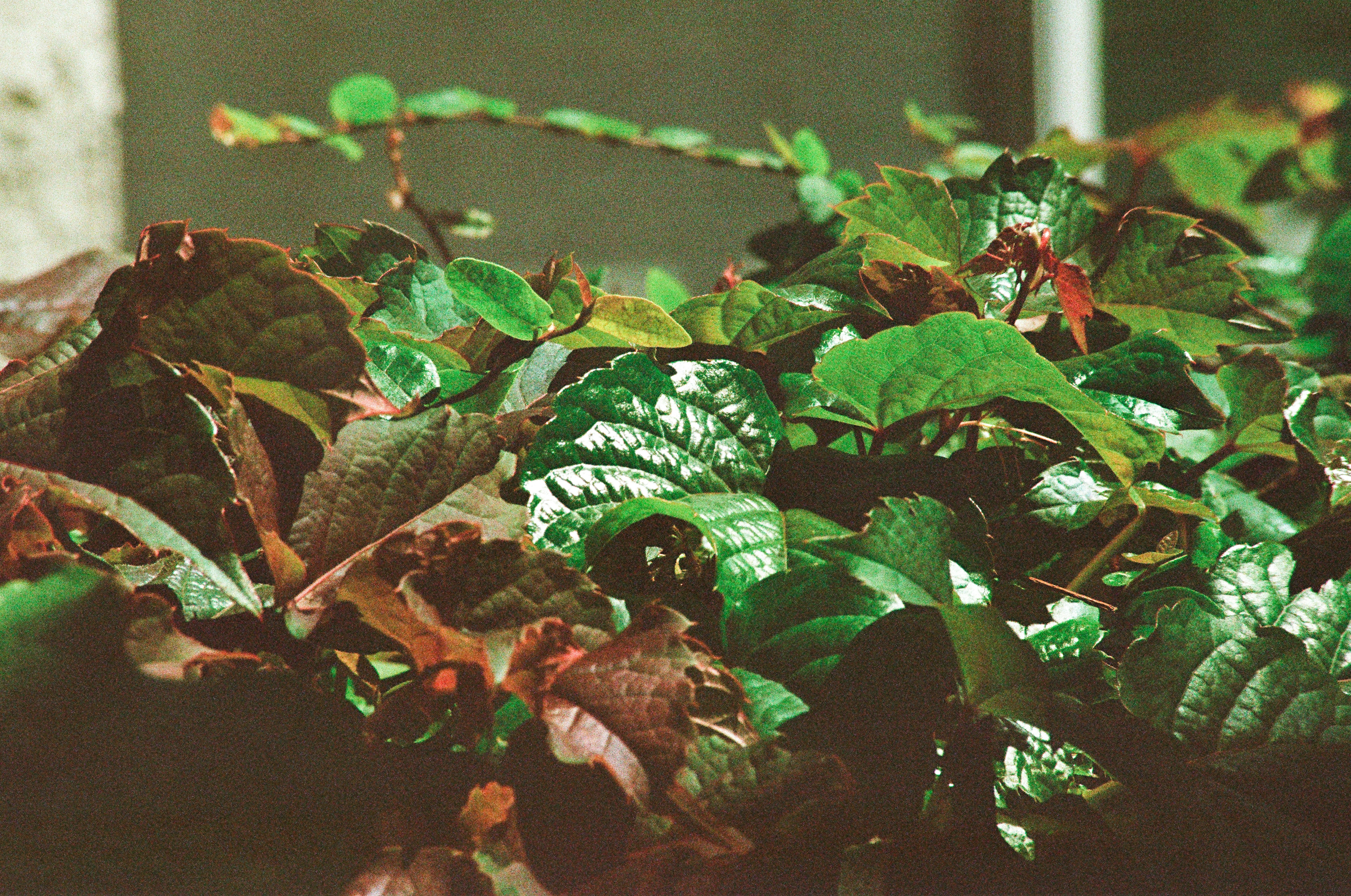 Nick Wright (@_nickwright_) | Communauté photos Unsplash