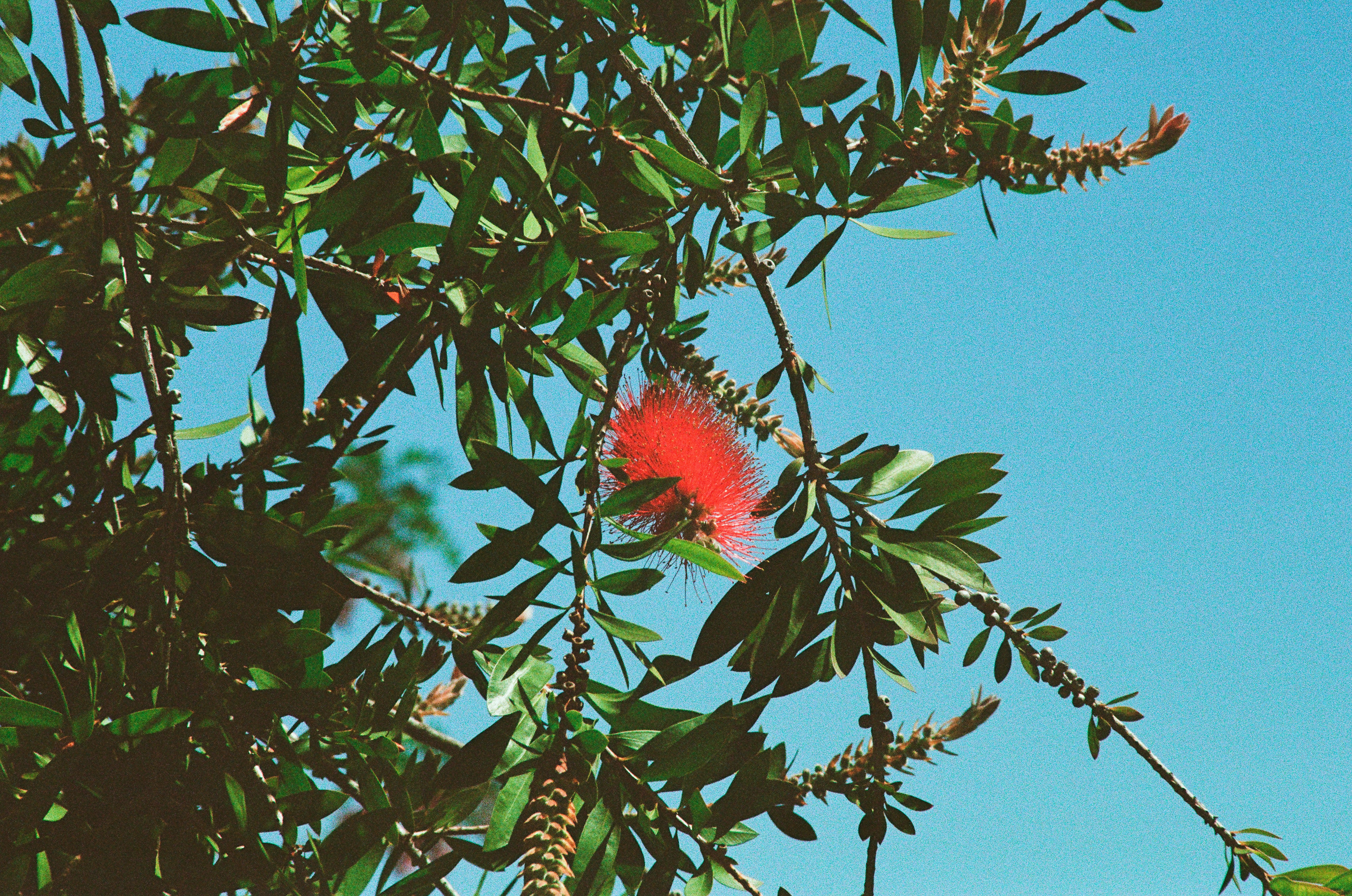 Nick Wright (@_nickwright_) | Communauté photos Unsplash