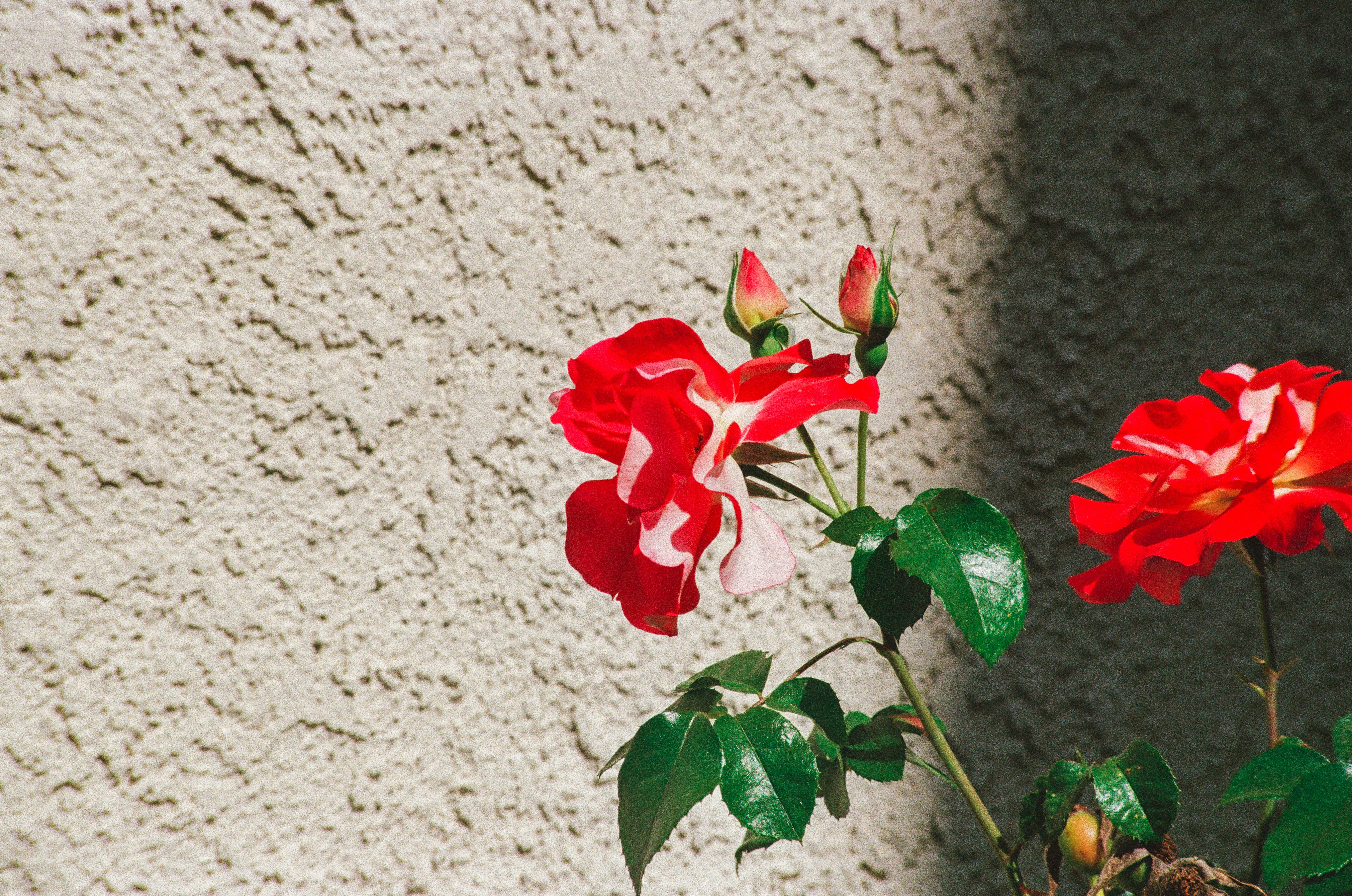 Nick Wright (@_nickwright_) | Communauté photos Unsplash