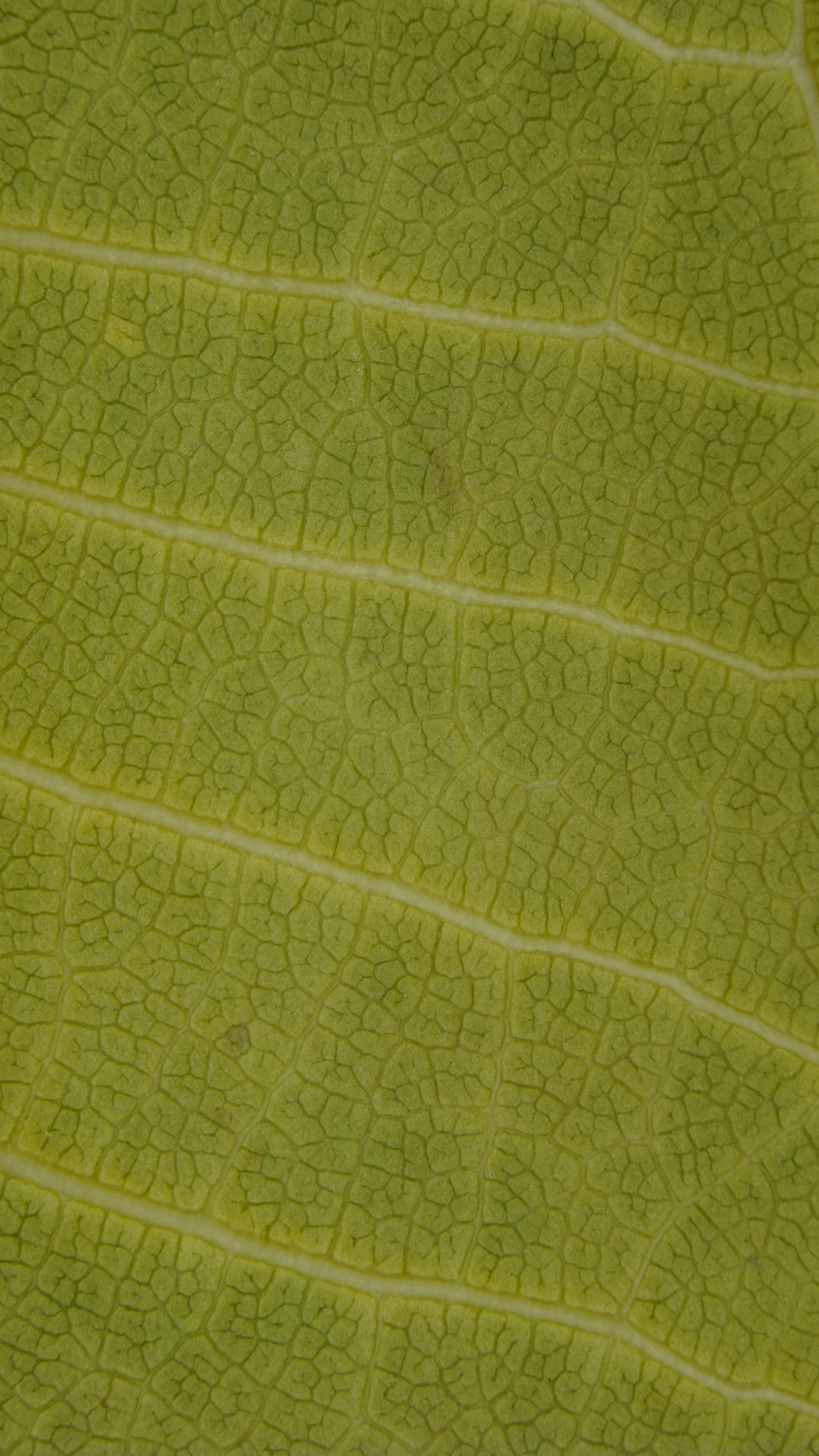 Photo by Duy Le Duc with Sony Alpha 6000