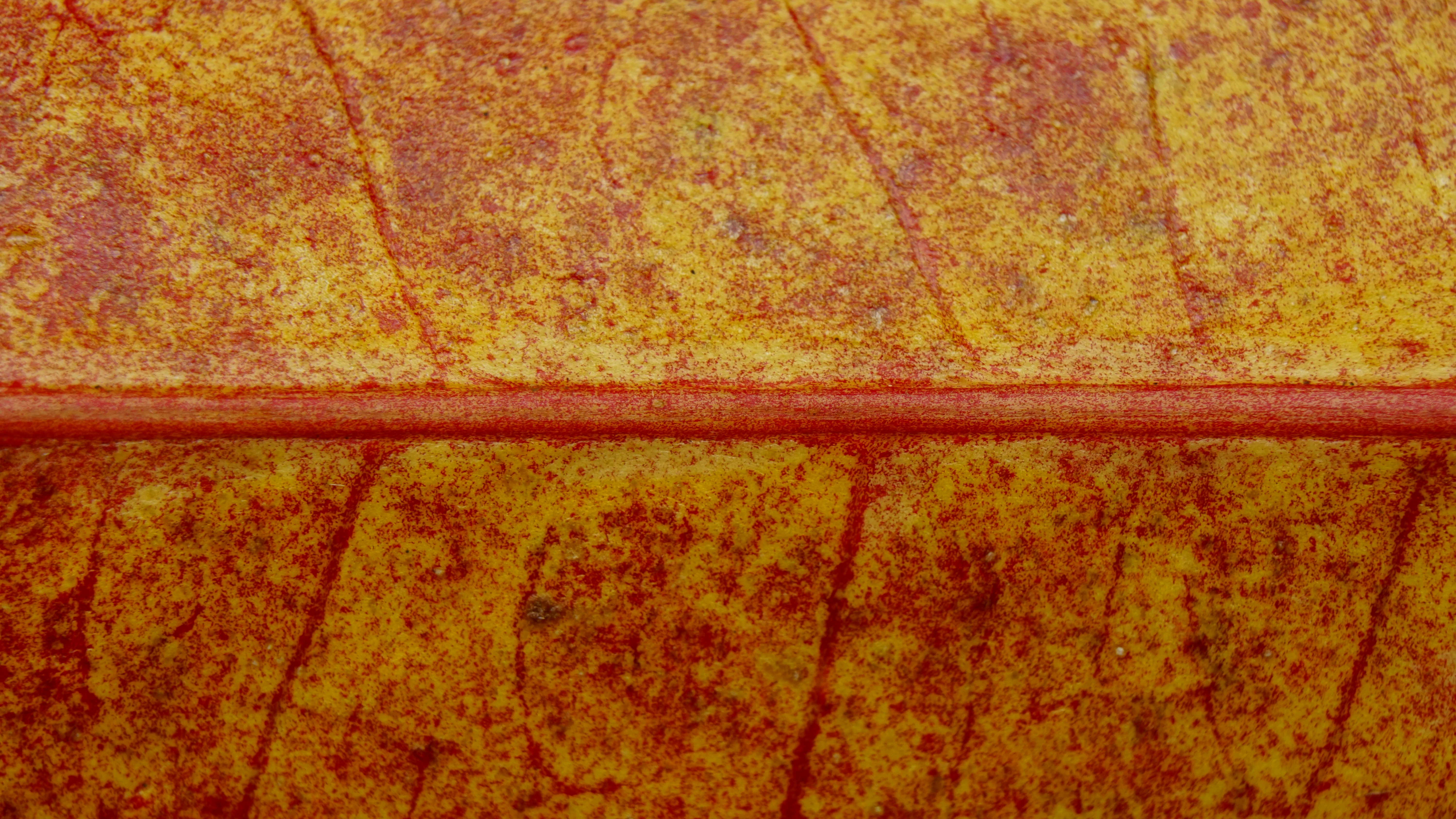 Seam of Rust: A Duo of Weathered Panels in Sunset Patina