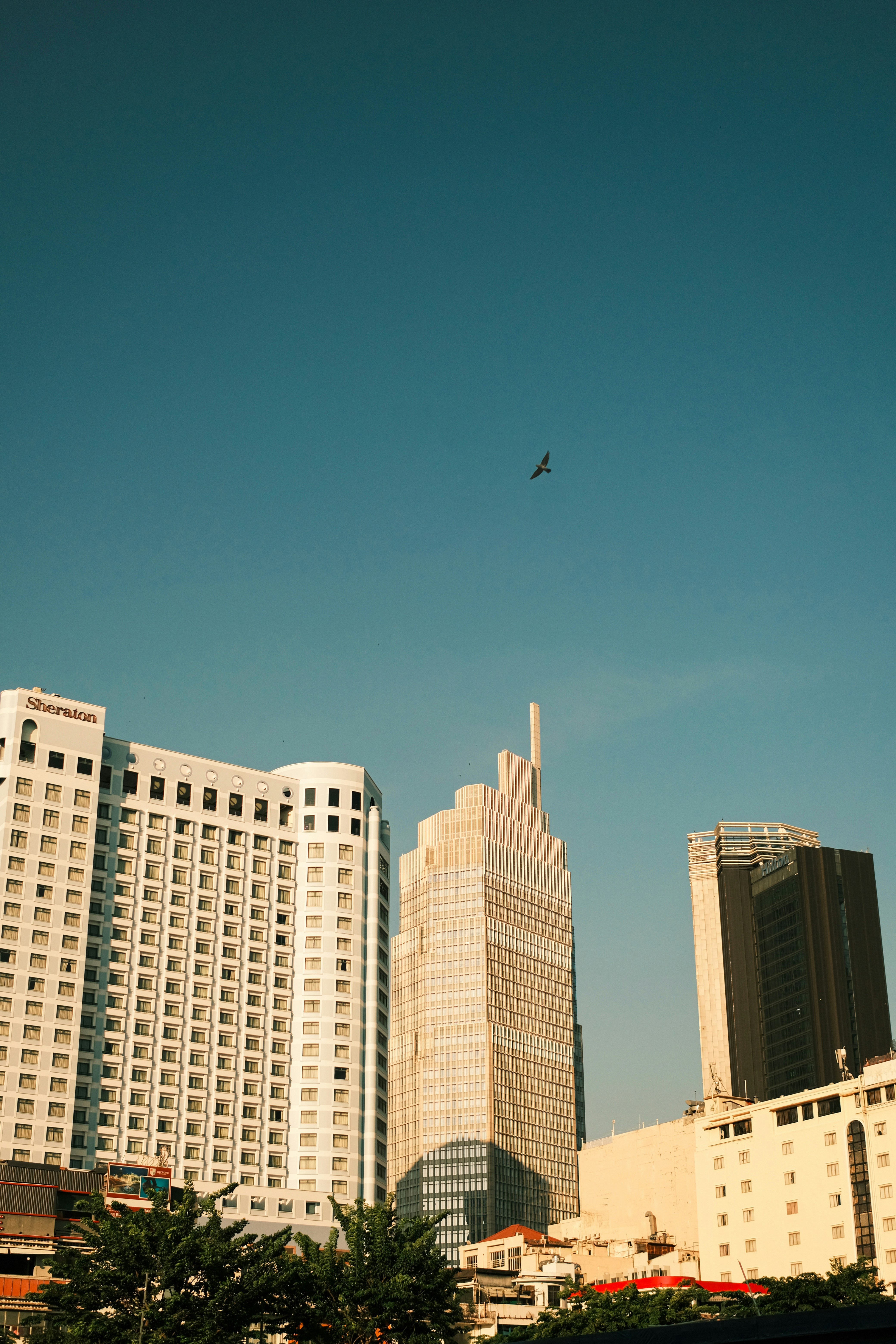 A cityscape featuring modern skyscrapers under a clear blue sky, with a bird soaring above. The scene captures the dynamic interplay of architecture and nature.
