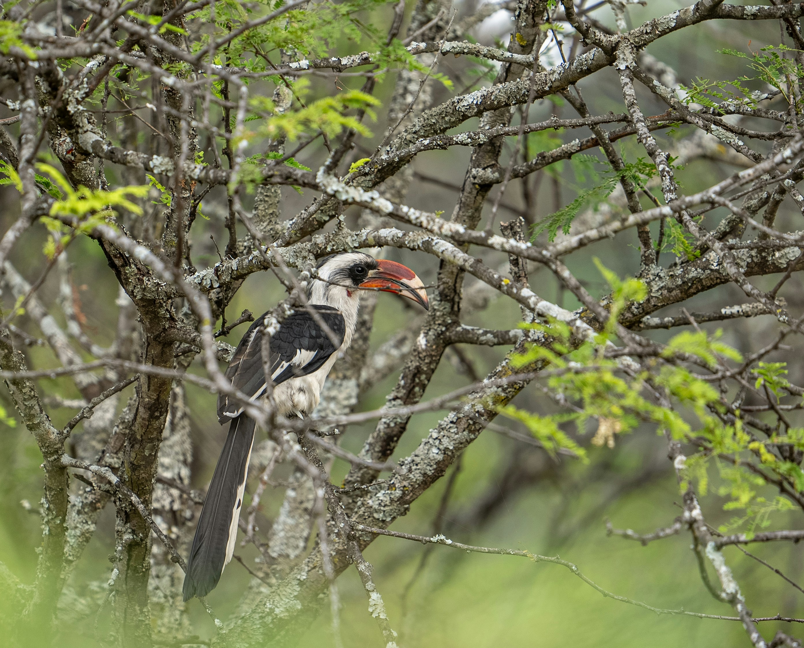 Photo by mana5280 with Sony Alpha 1