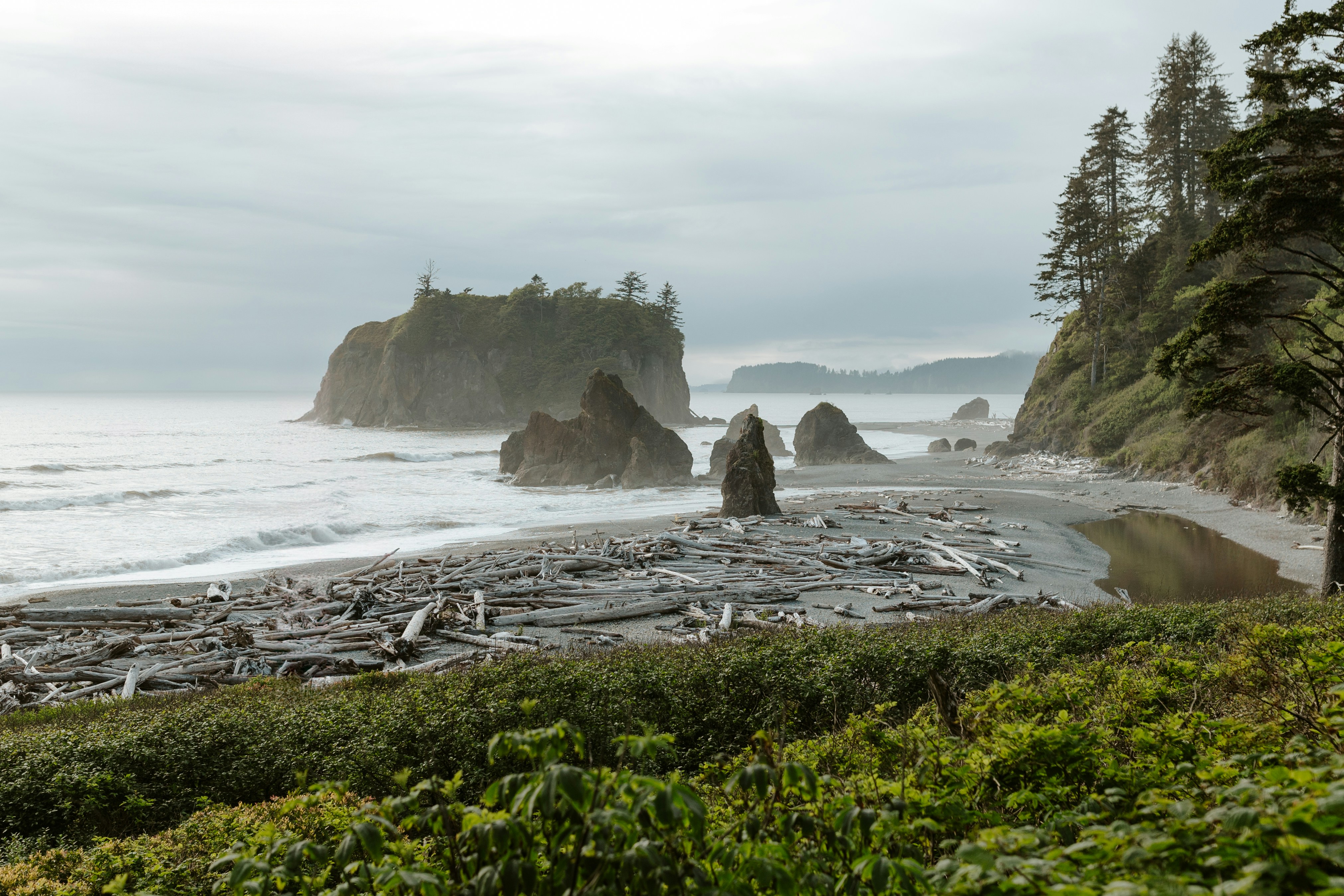 A view of a beach with a bunch of trees photo – Free Ruby beach Image ...