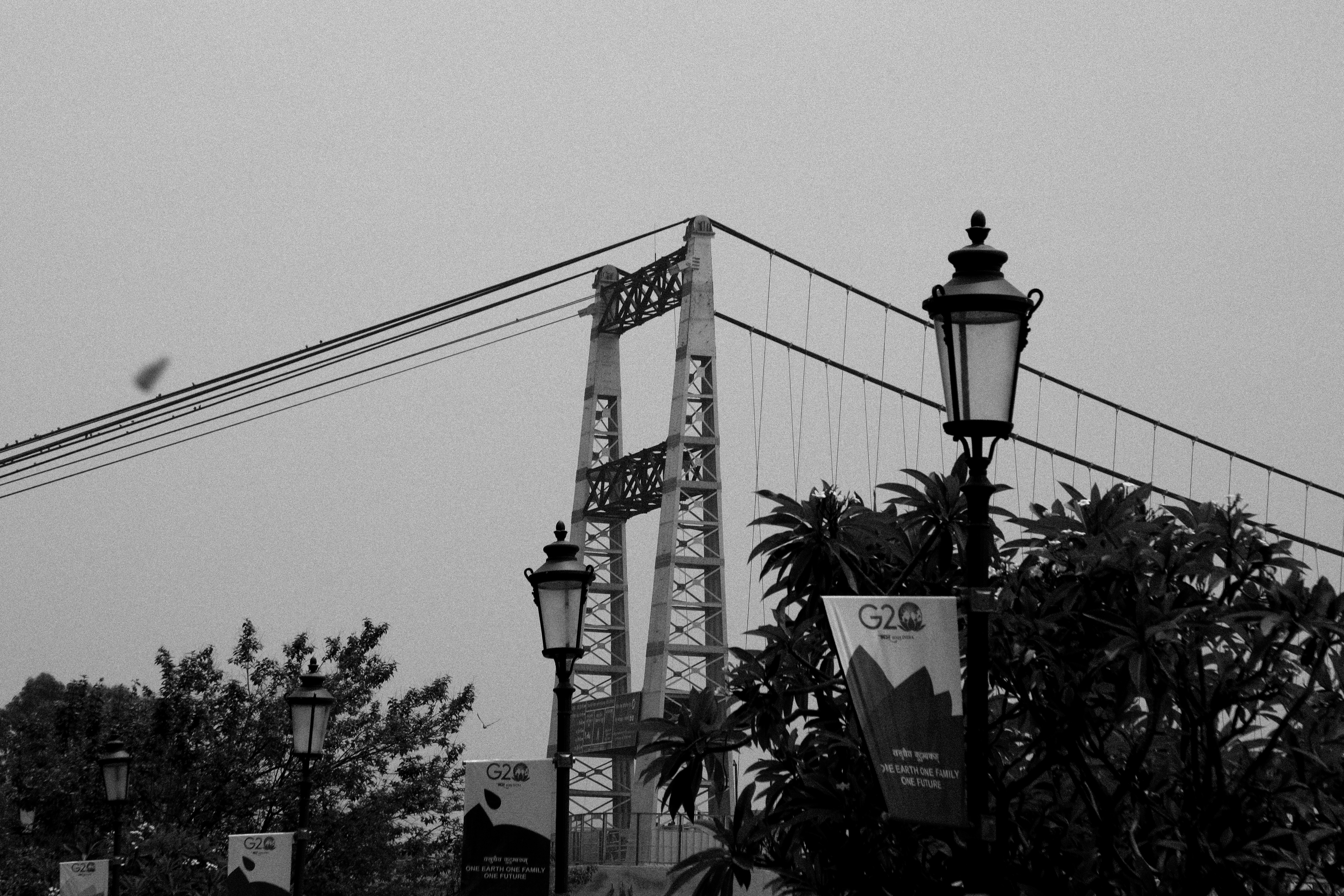 Monochrome Suspension: Bridge Tower Framed by Cables, Lanterns and Palms