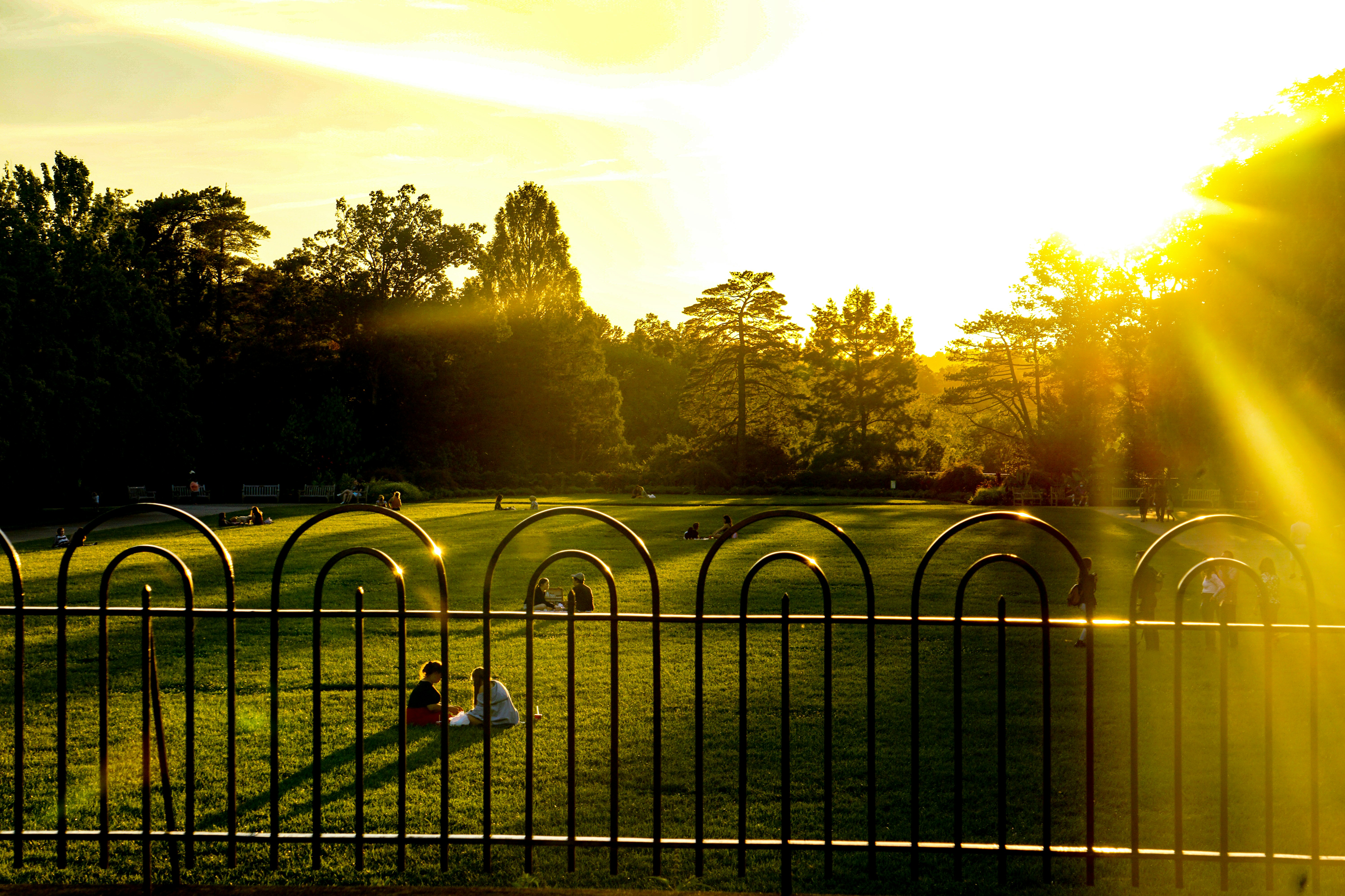 Sunsets | a group of people sitting on top of a lush green field