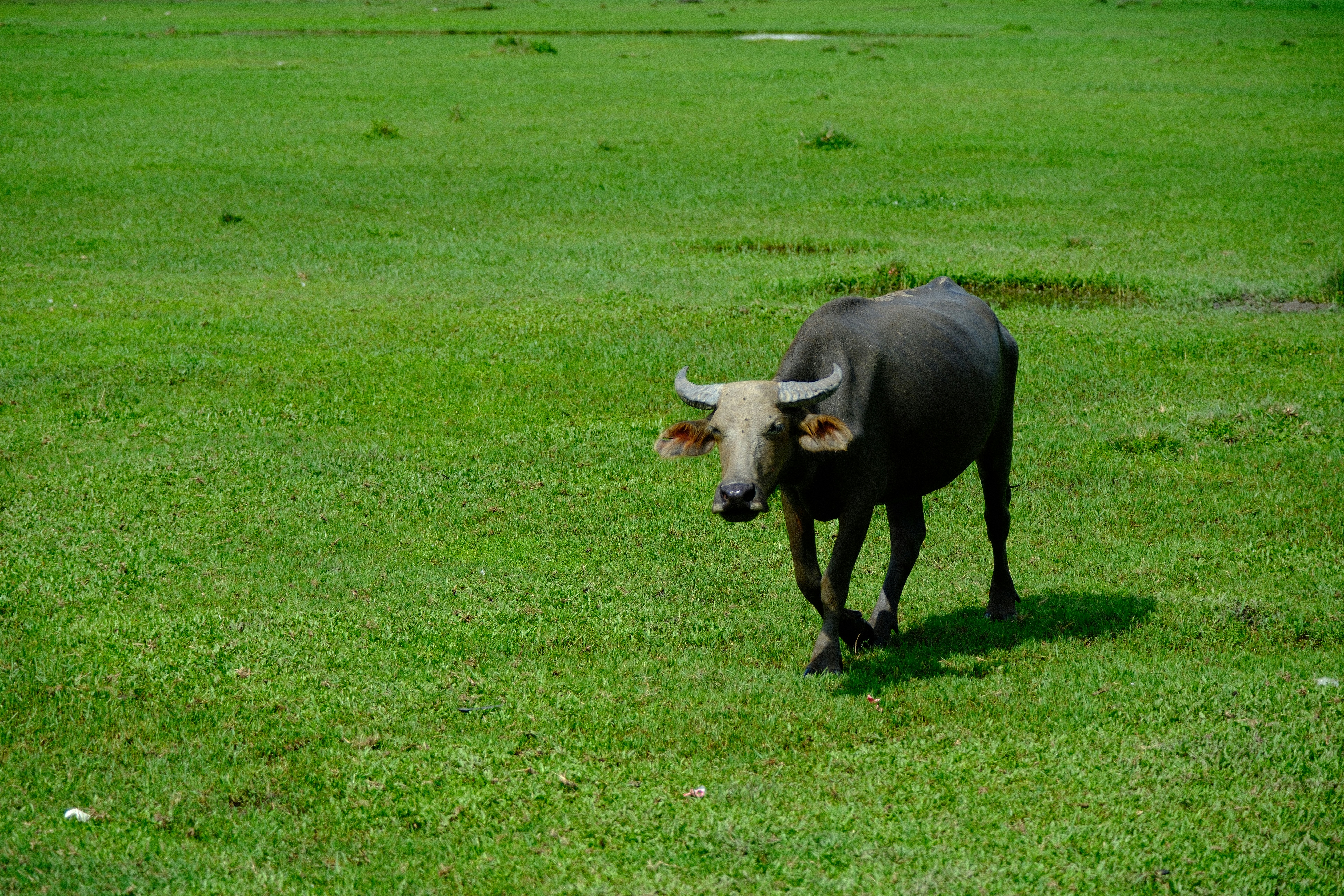 Photo by Carbyn Wu with Fujifilm X-T5