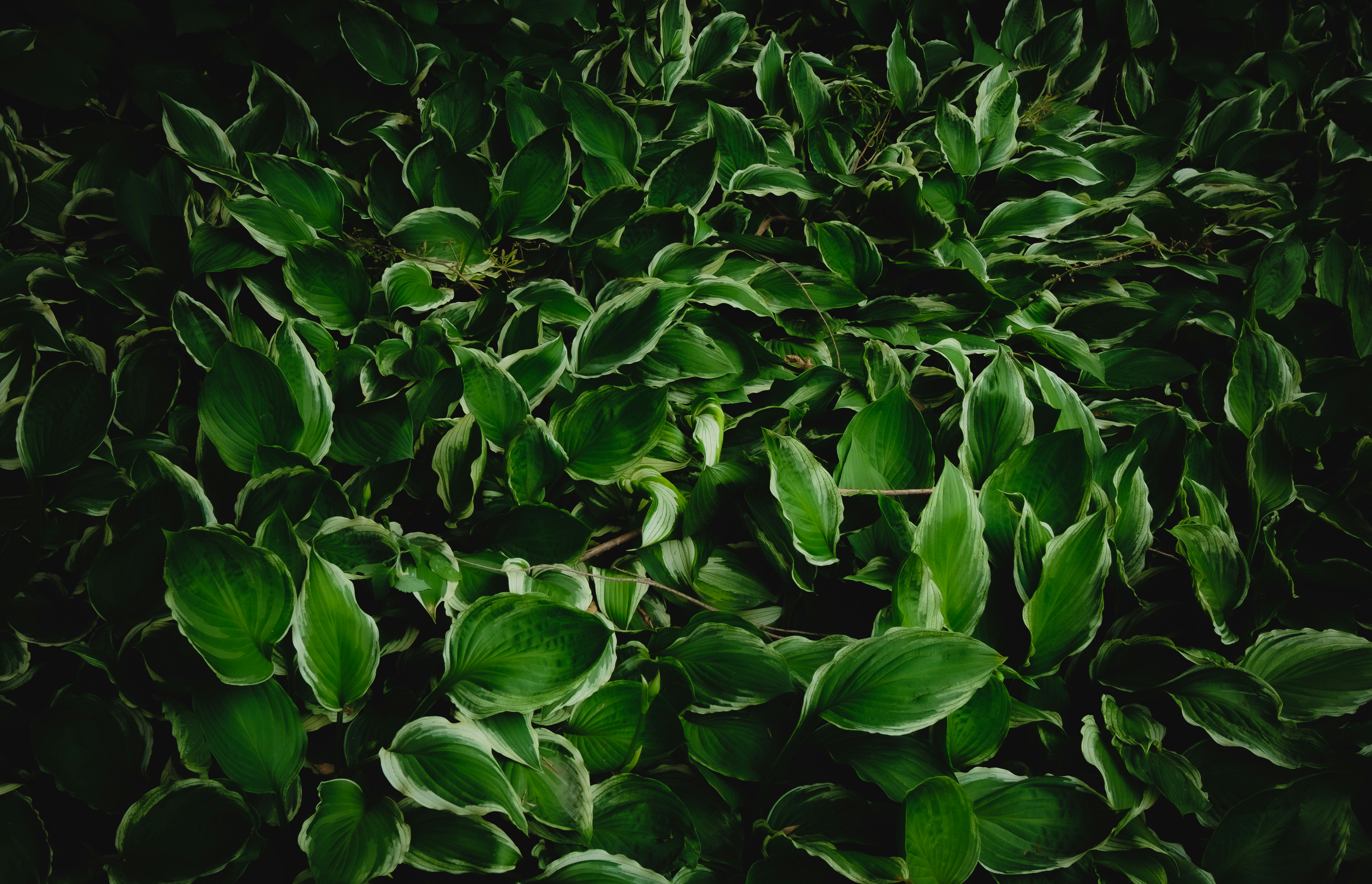 Photo by Hoang Trinh with Fujifilm X-T2