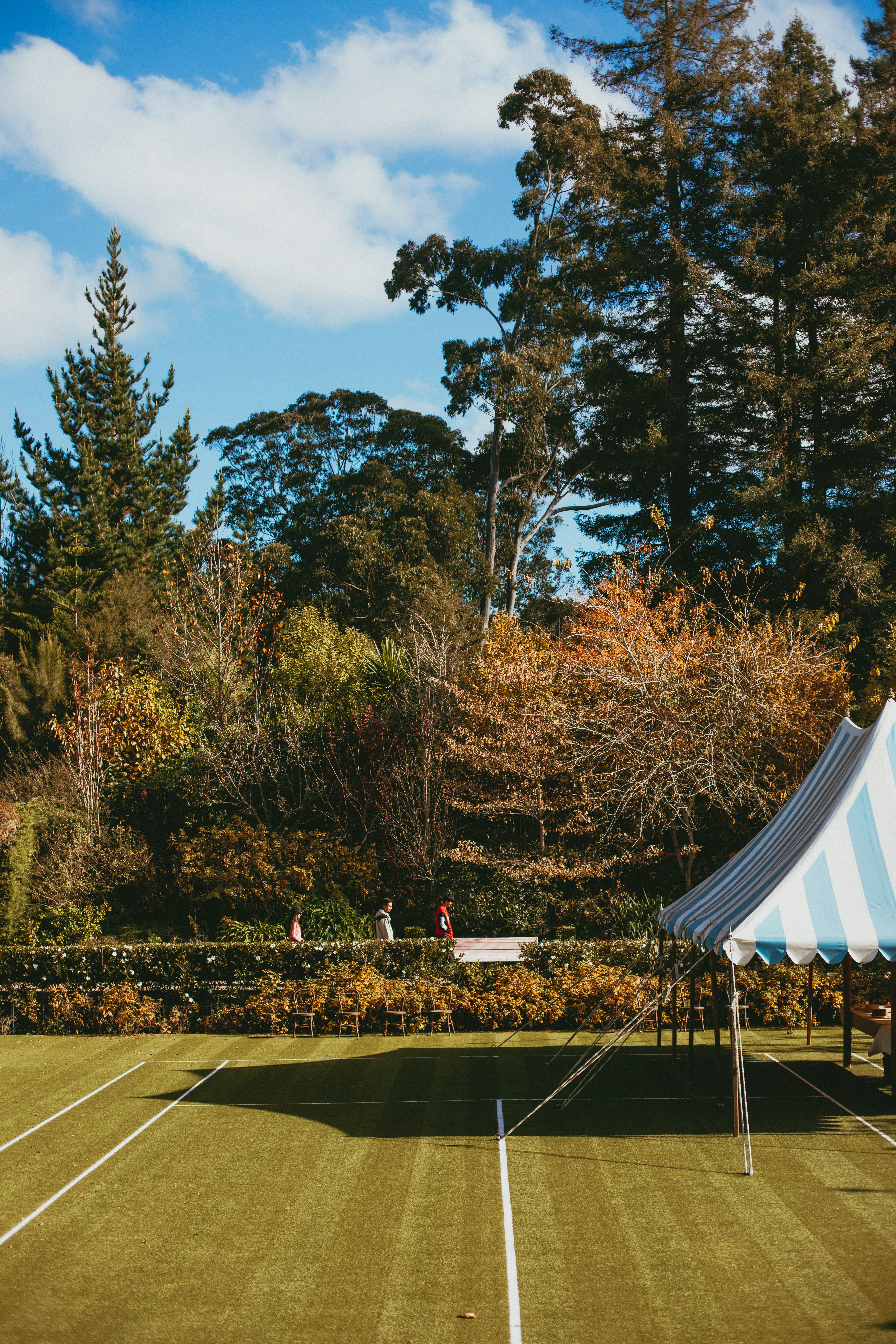 Festival Grounds Under a Blue-Sky Canopy