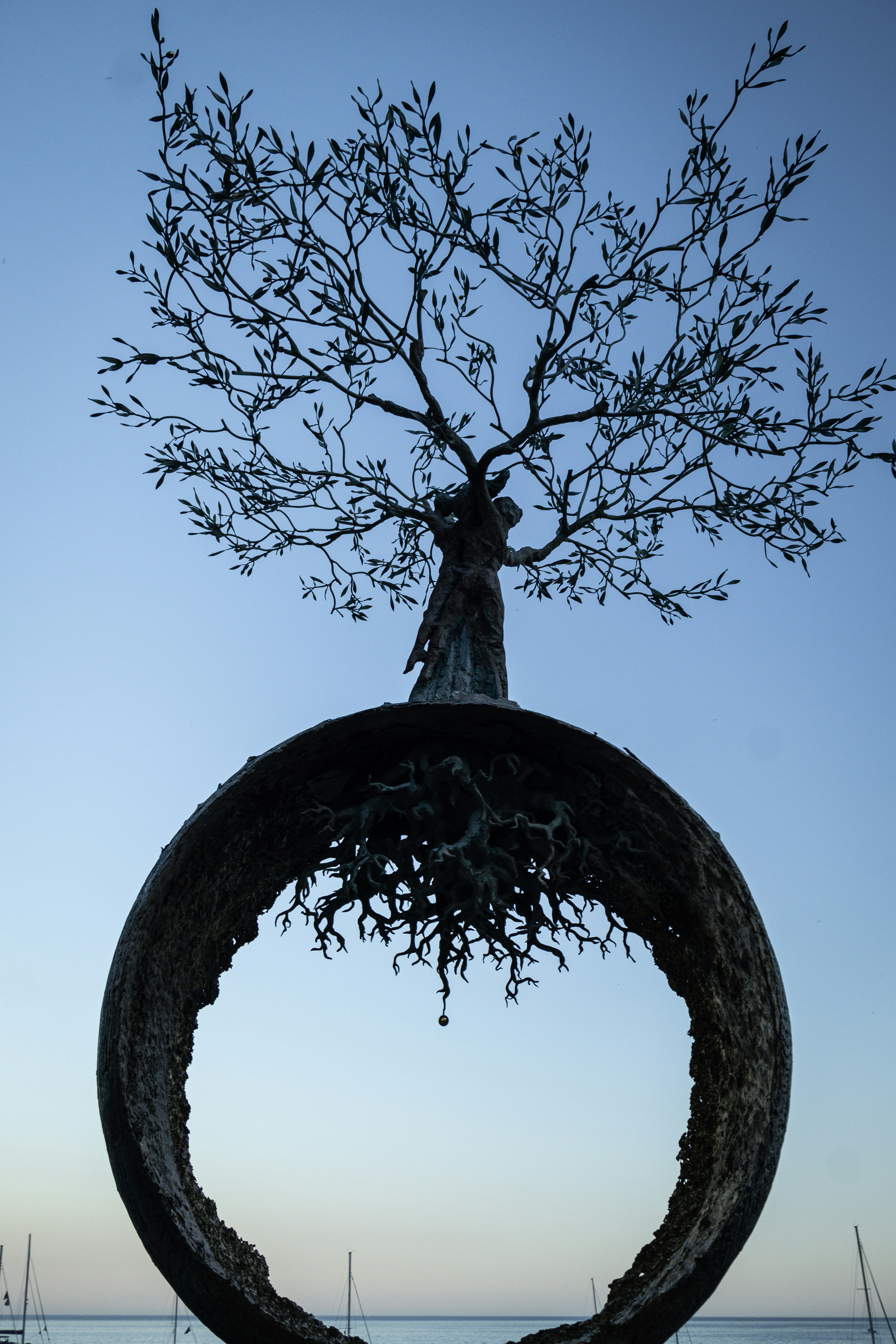 A tree is growing out of a circular object photo – Free Photo Image on ...