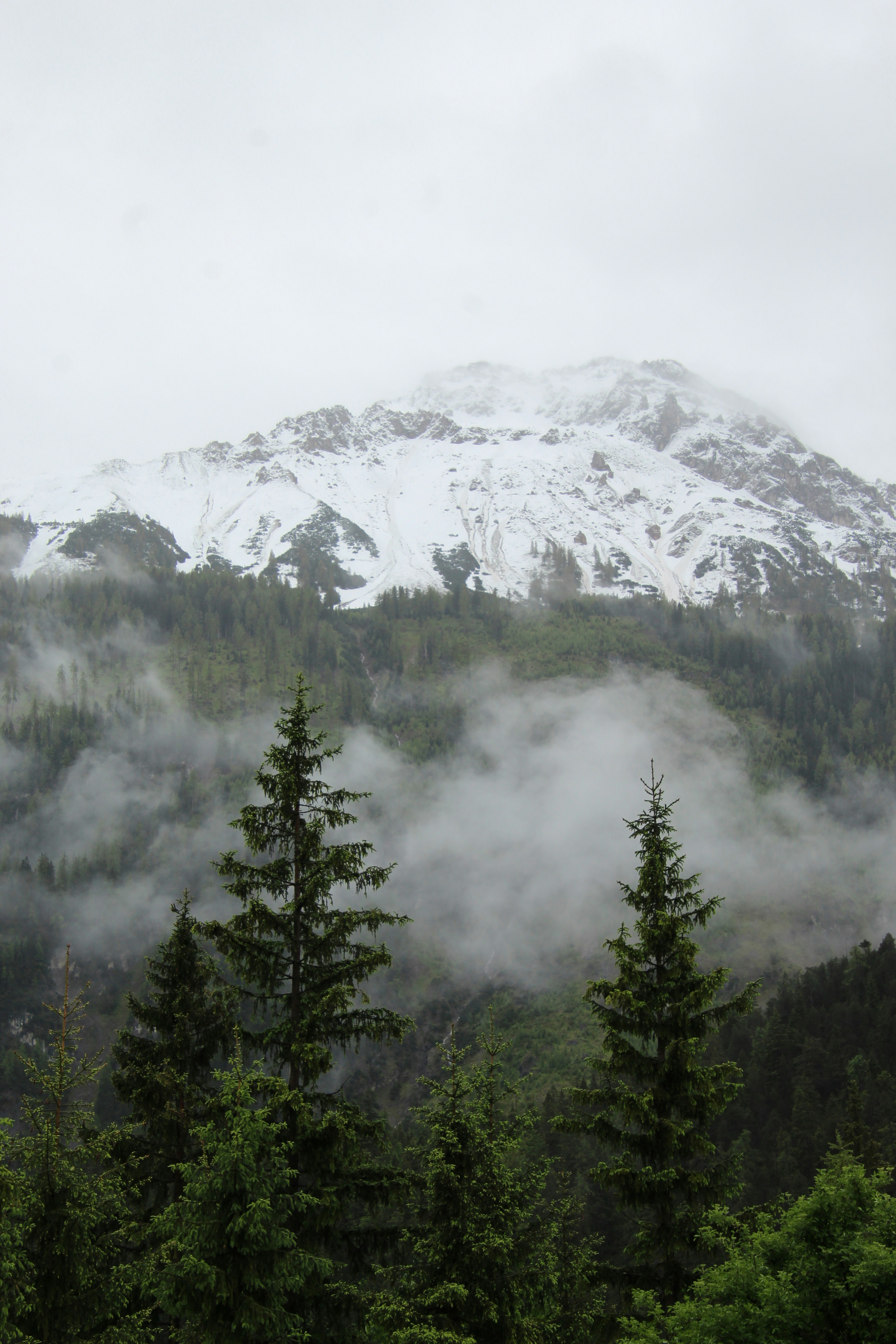 500+ Forest Mountain Pictures [HD] | Download Free Images on Unsplash