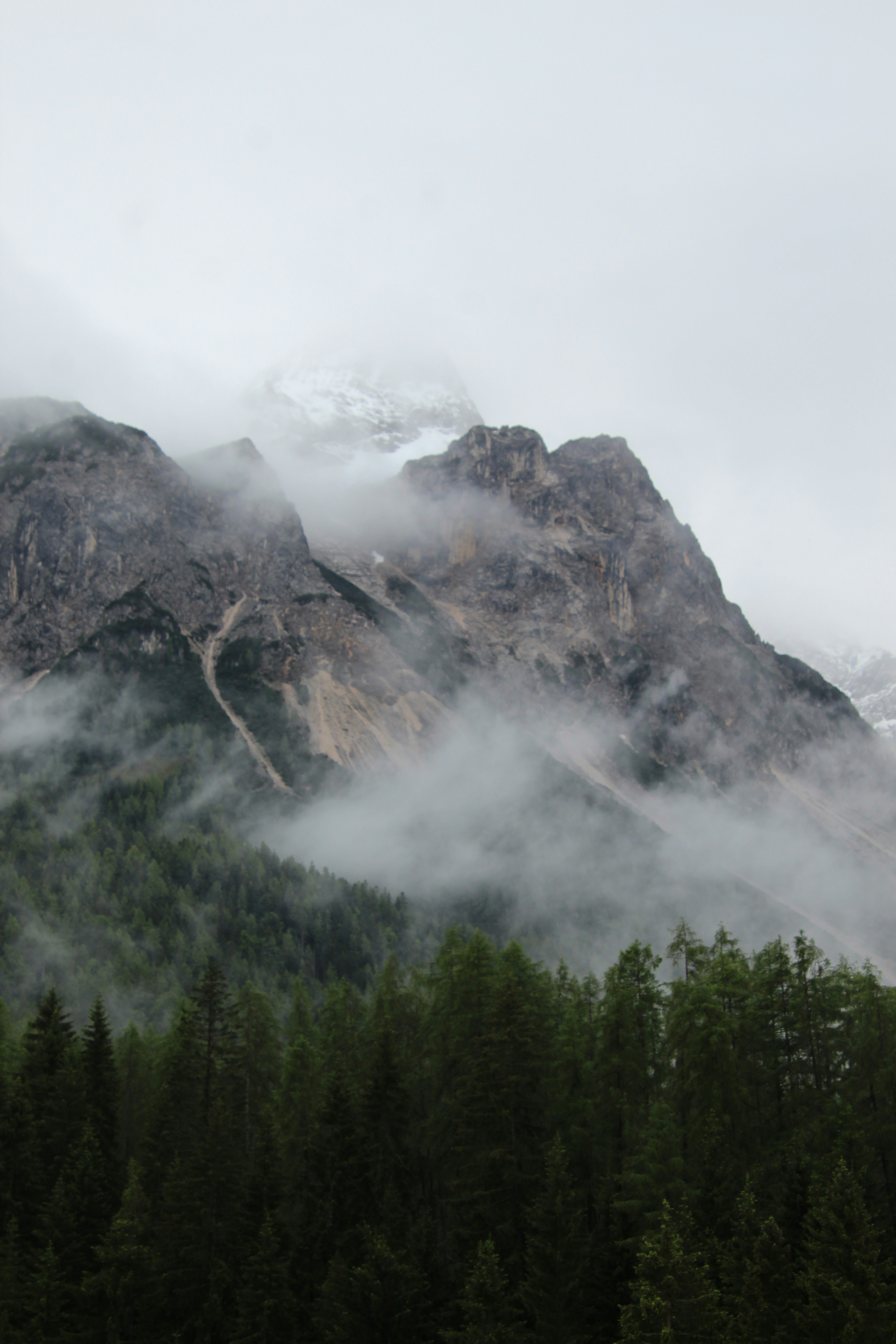 A mountain covered in clouds and trees on a cloudy day photo – Free ...