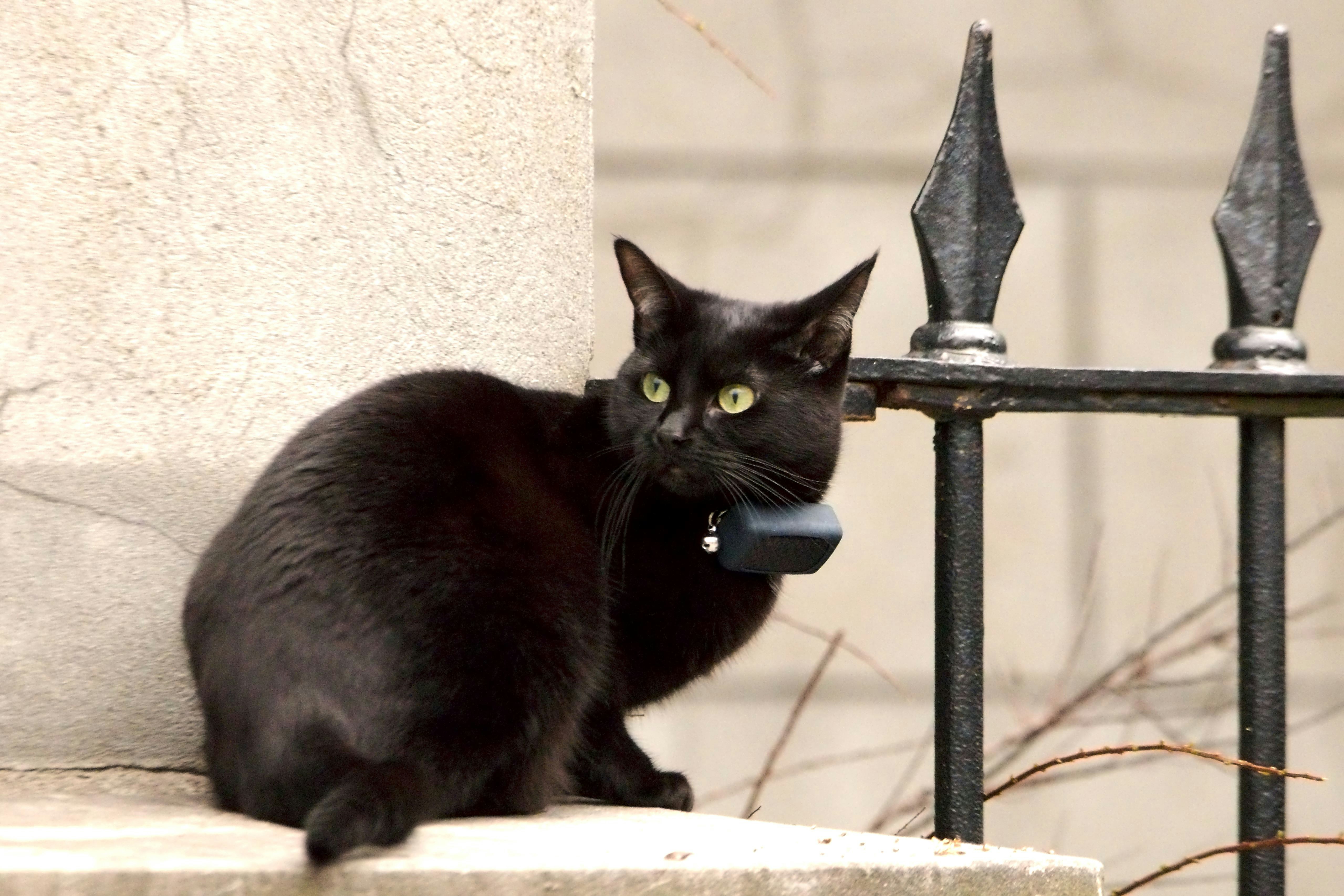 Photo by Danielle-Claude Bélanger with Canon EOS 750D