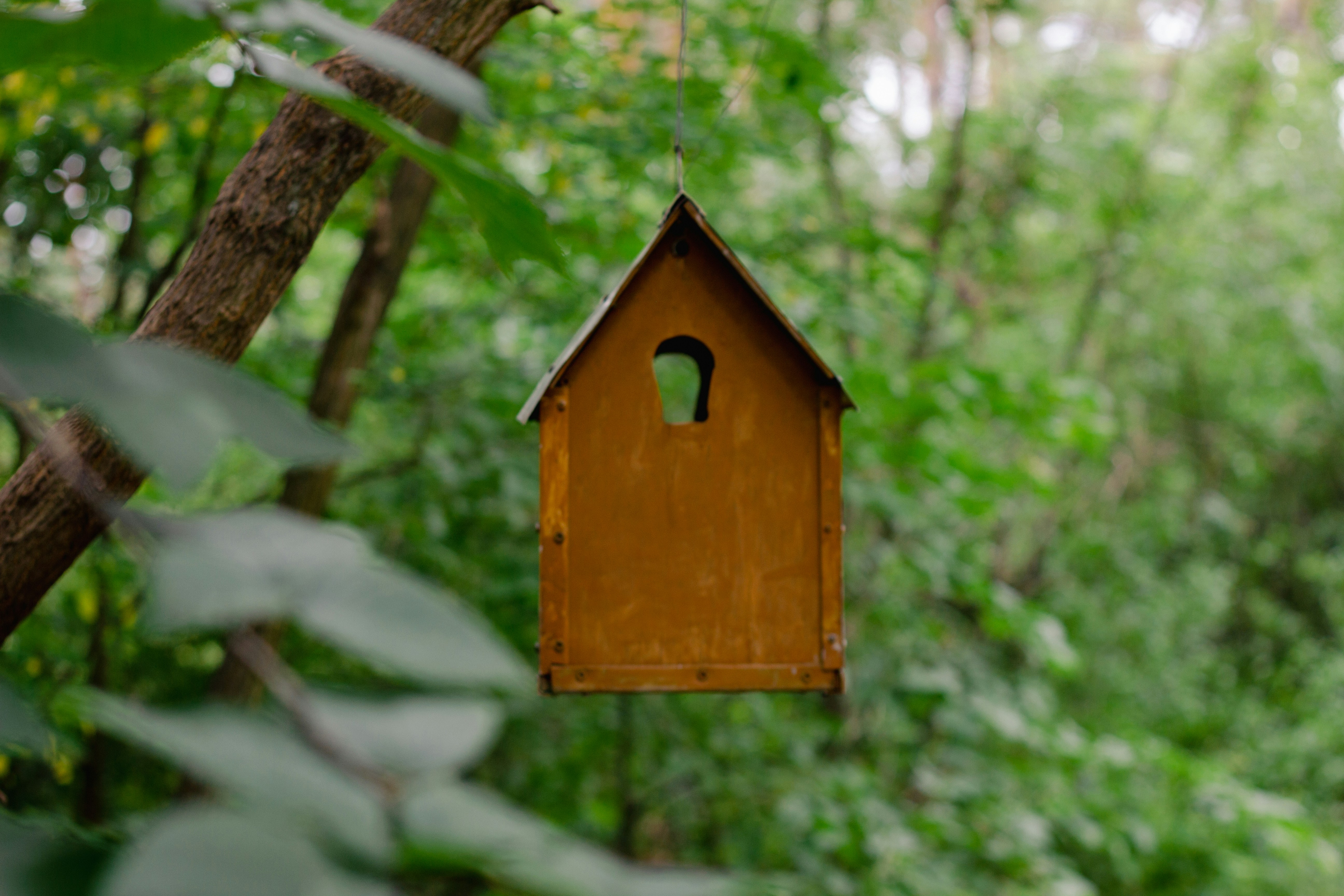 Photo by Vladimira Slyusarenko with Canon EOS 550D