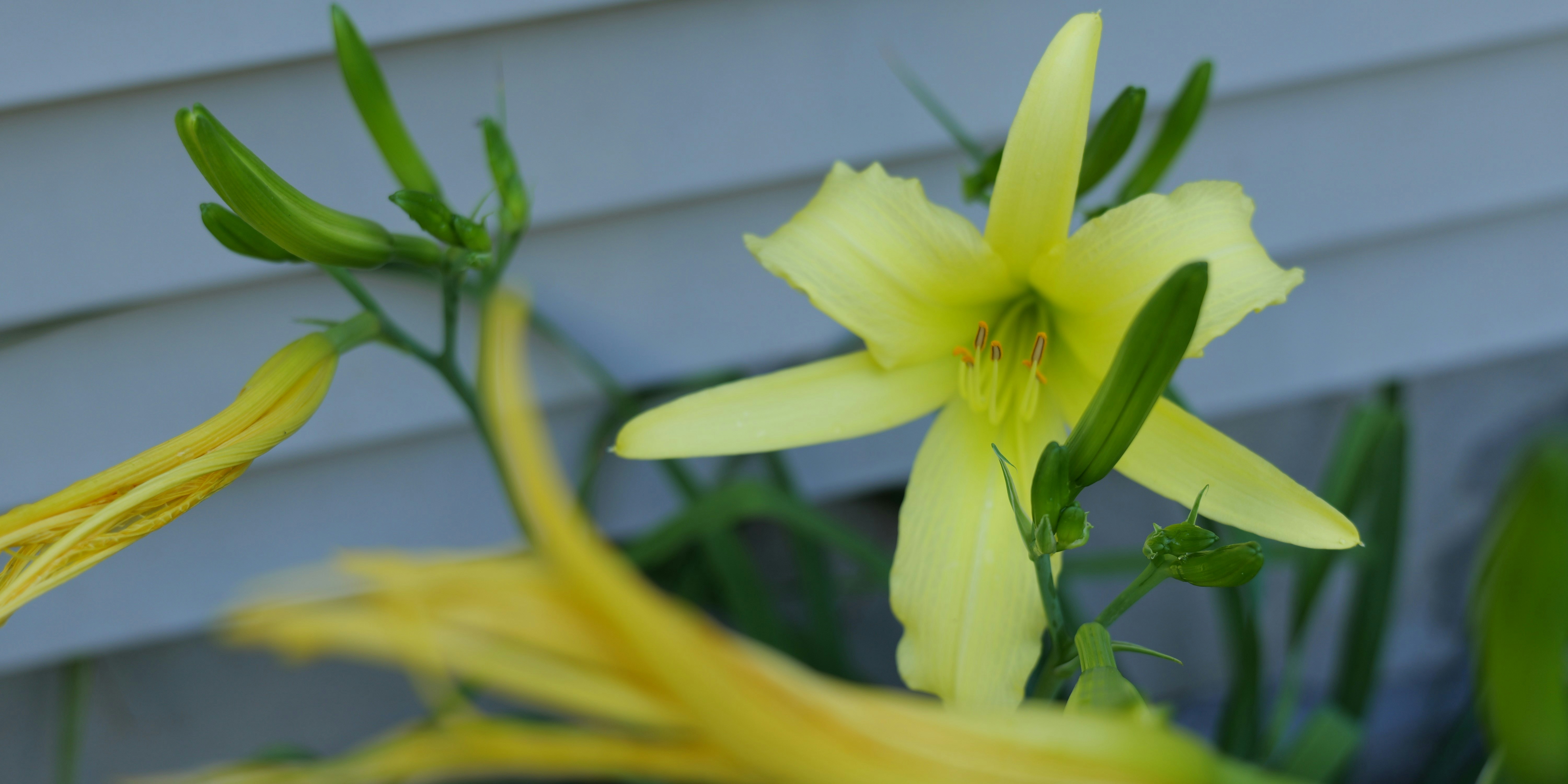 Phil Garrison (@garricuse) | Unsplashフォトコミュニティ