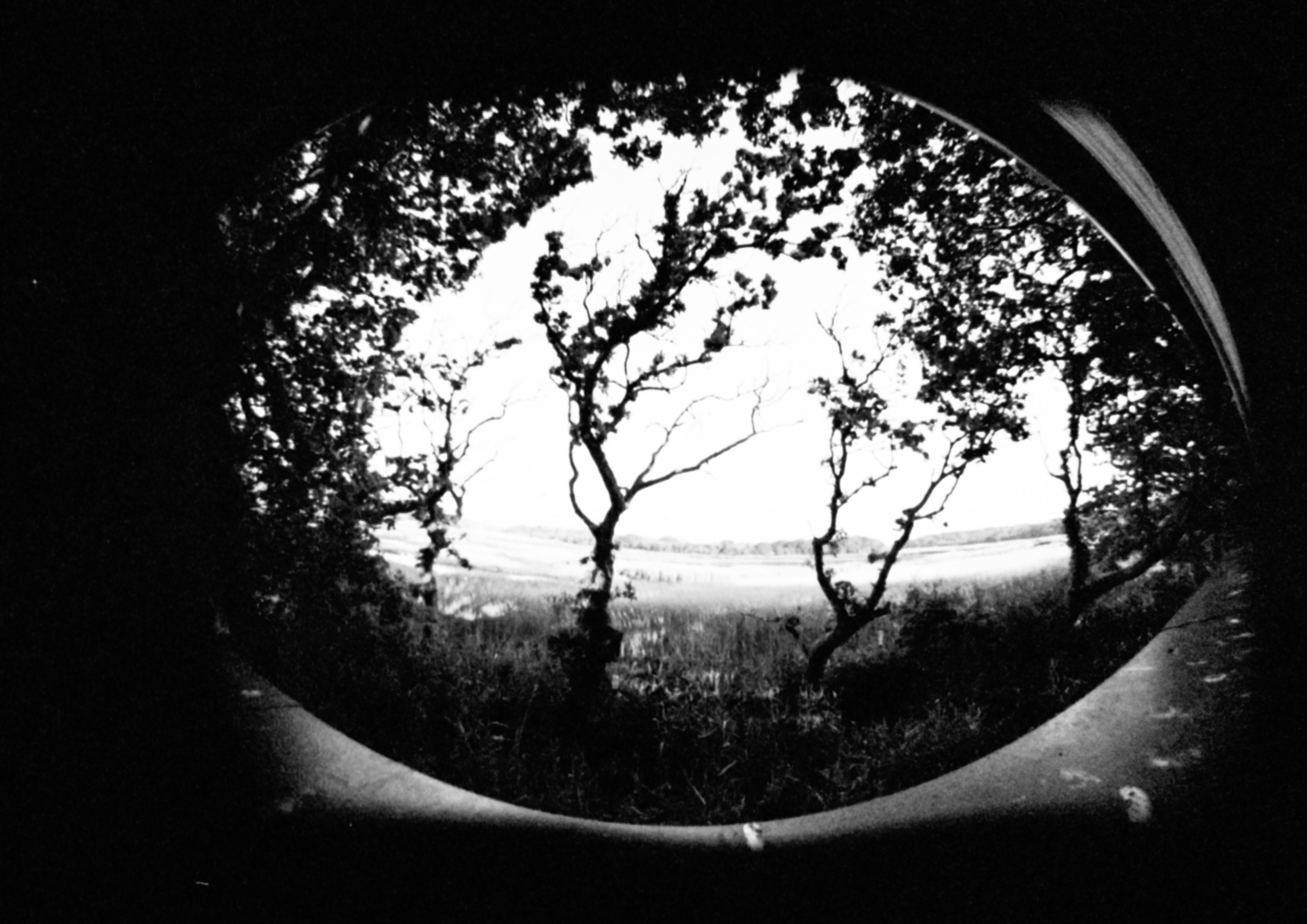 A view of a field through a round window photo – Free Photo Image on ...