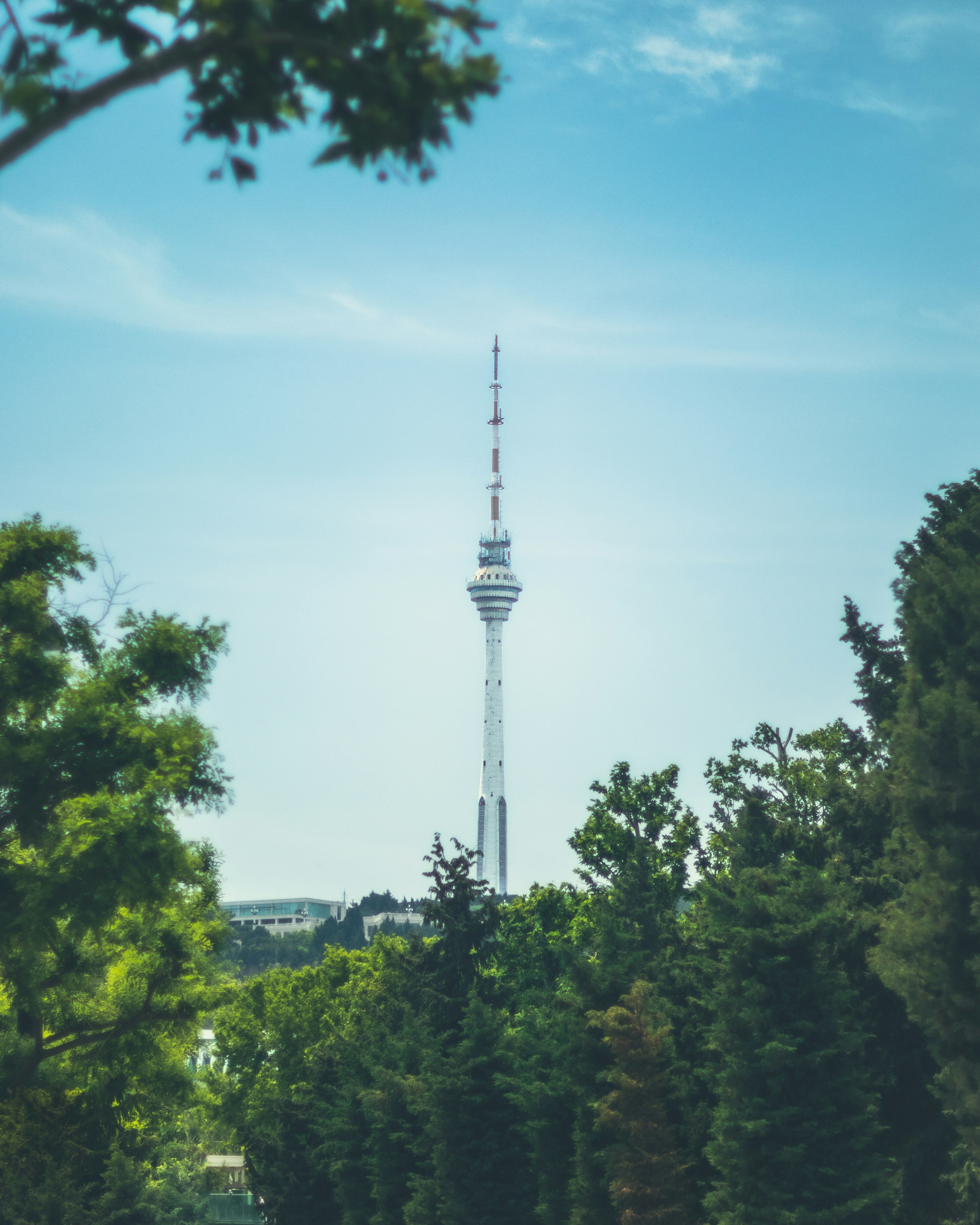 A tall tower towering over a lush green forest photo – Free ...