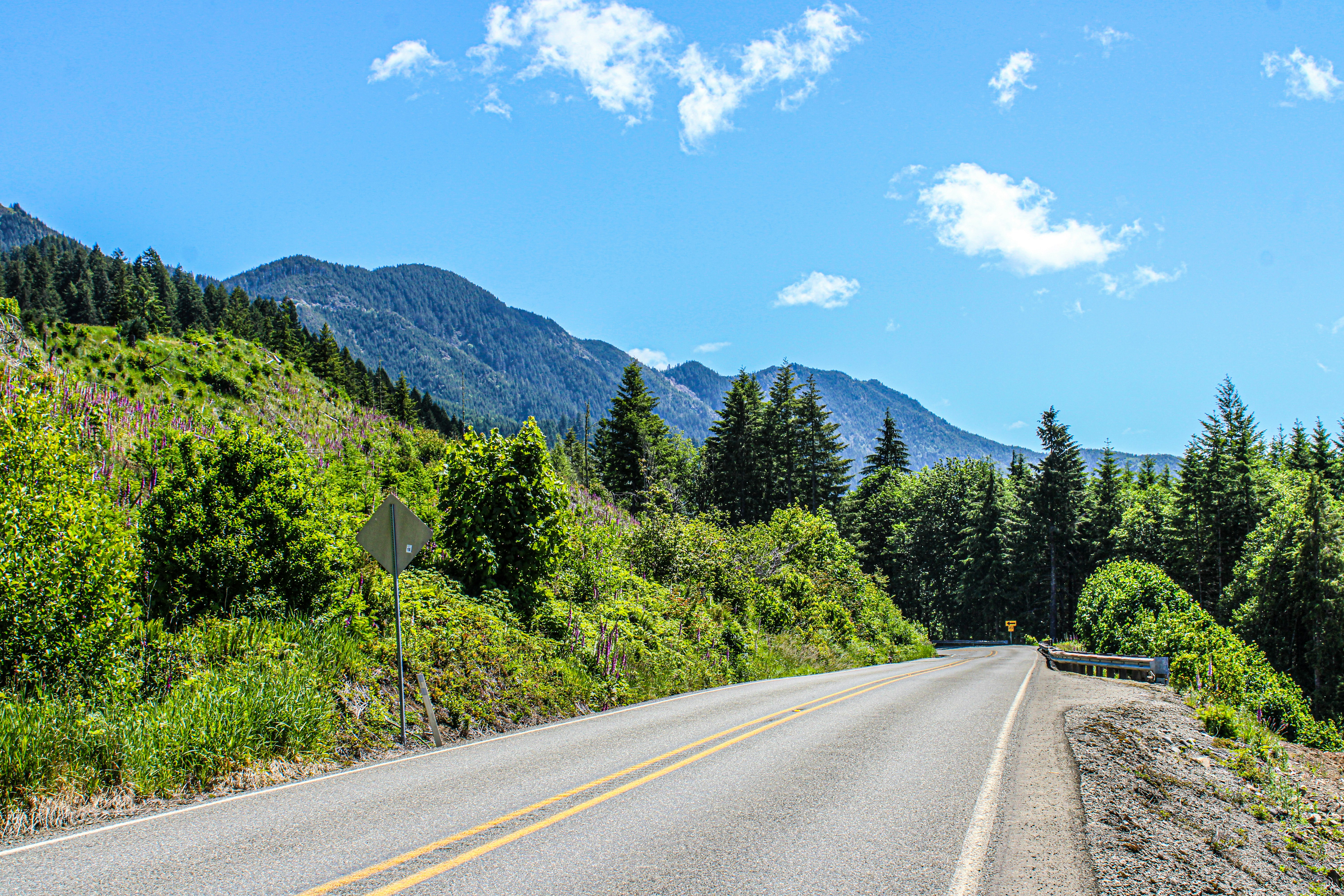 Photo by Peter Robbins with Canon EOS 2000D