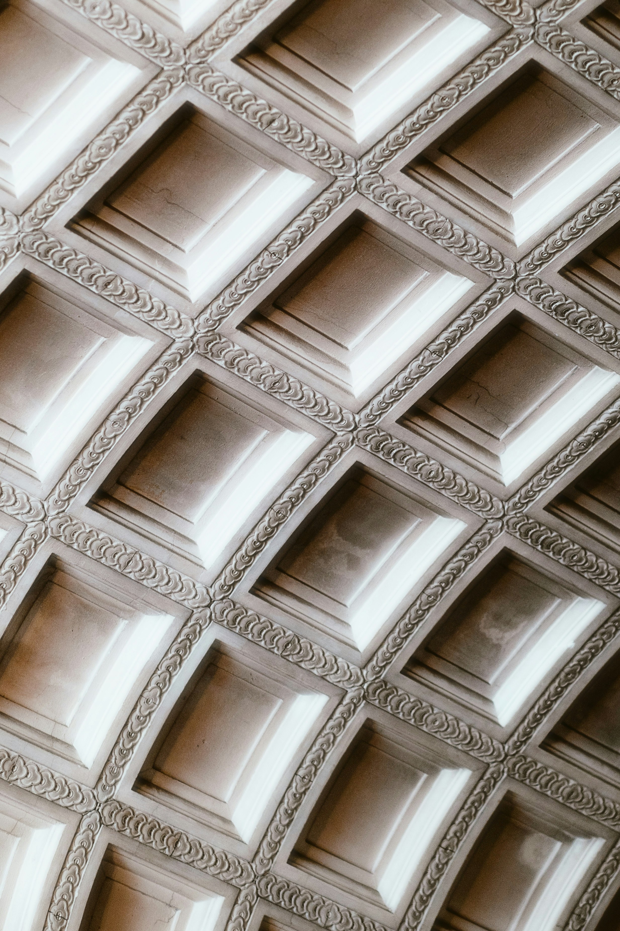 Ornate Grid of Carved Coffered Panels