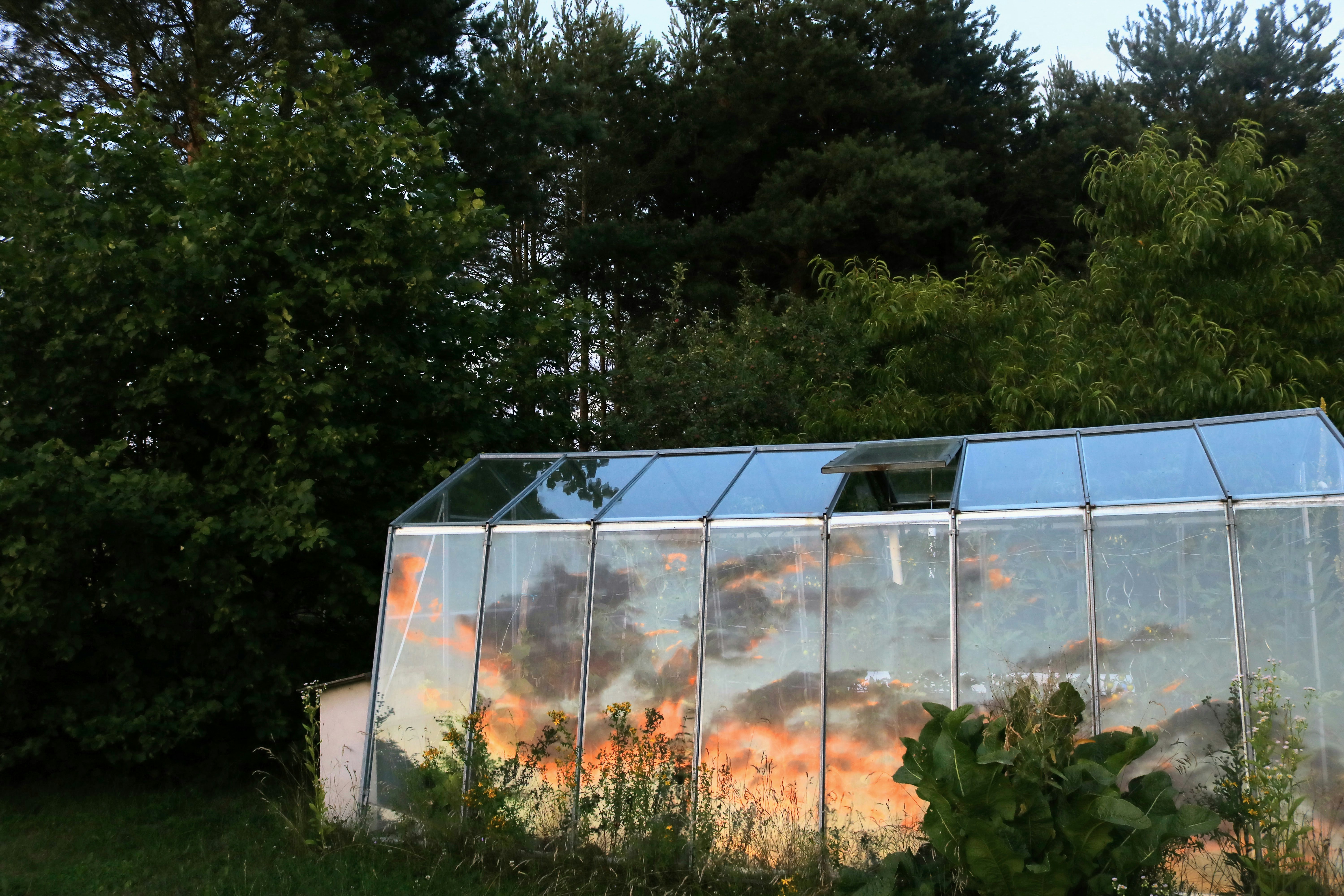 This photograph captures the reflection of a sunset in the glass panels of a greenhouse. The warm, golden hues of the sunset contrast beautifully with the surrounding greenery, creating a striking and serene scene that highlights the harmony between human-made structures and nature.